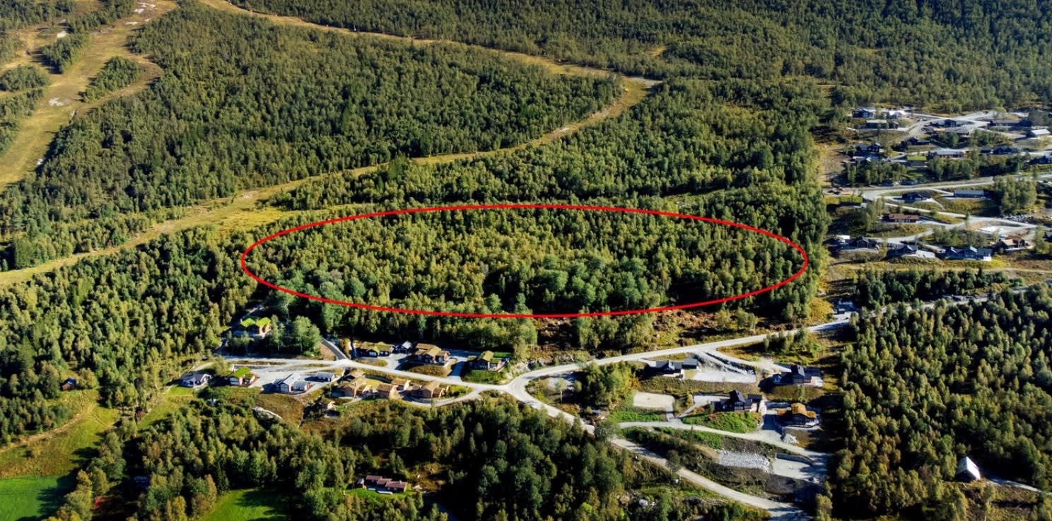 Eksklusive tomter til salgs på Bjorli - rbnett.no