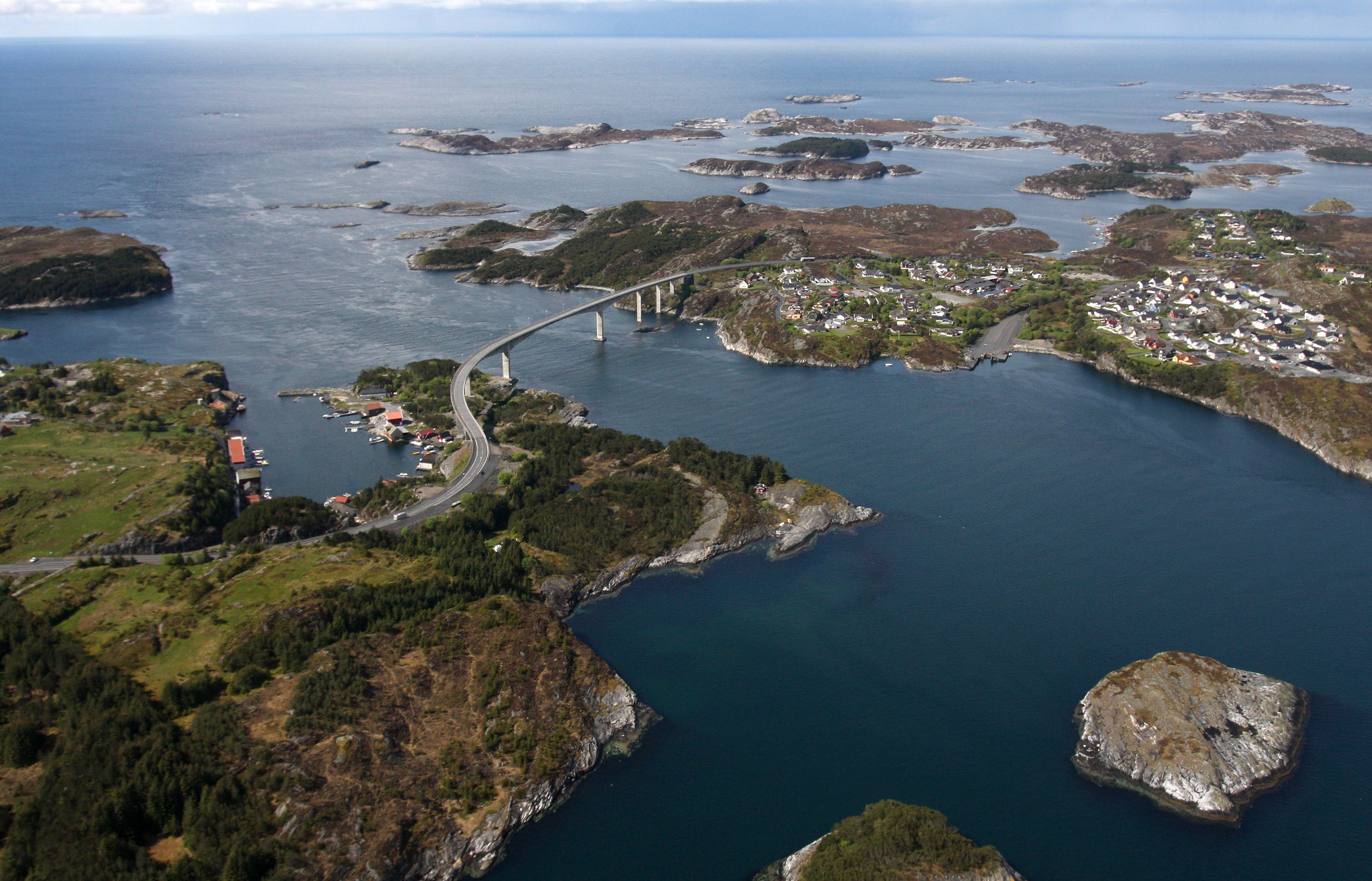 Dyrest på Rong - vestnytt.no