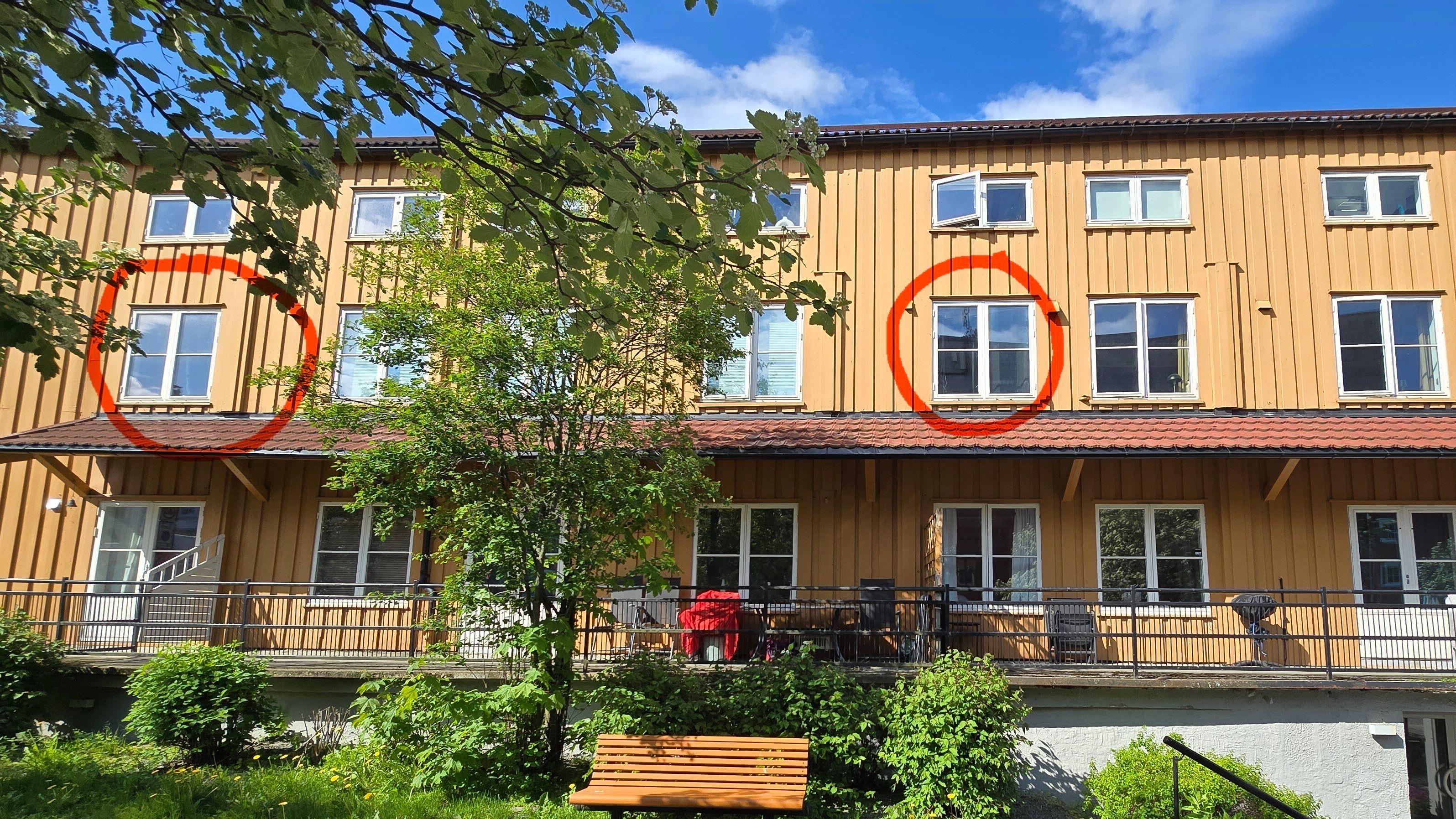 Ble vekket av en ekte «cat burgular» - adressa.no