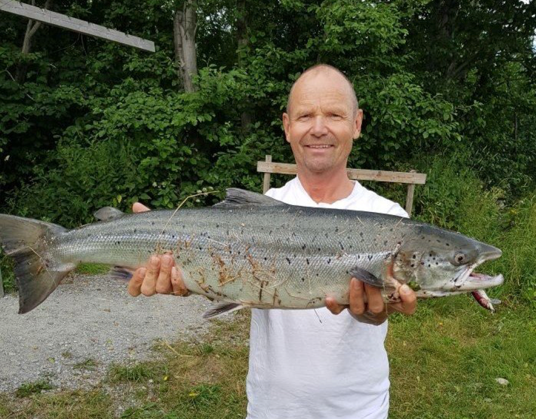 Laksefisker Lars Domaas fikk en laks på kroken og en laks i fanget