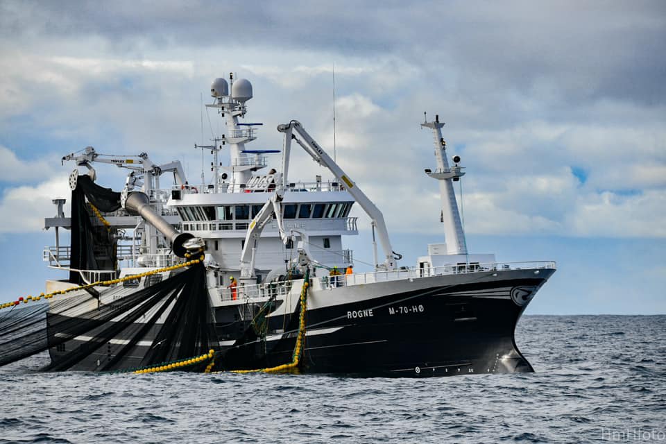Vil ha bedre kontroll med fisken som går til mel og olje - kystogfjord.no