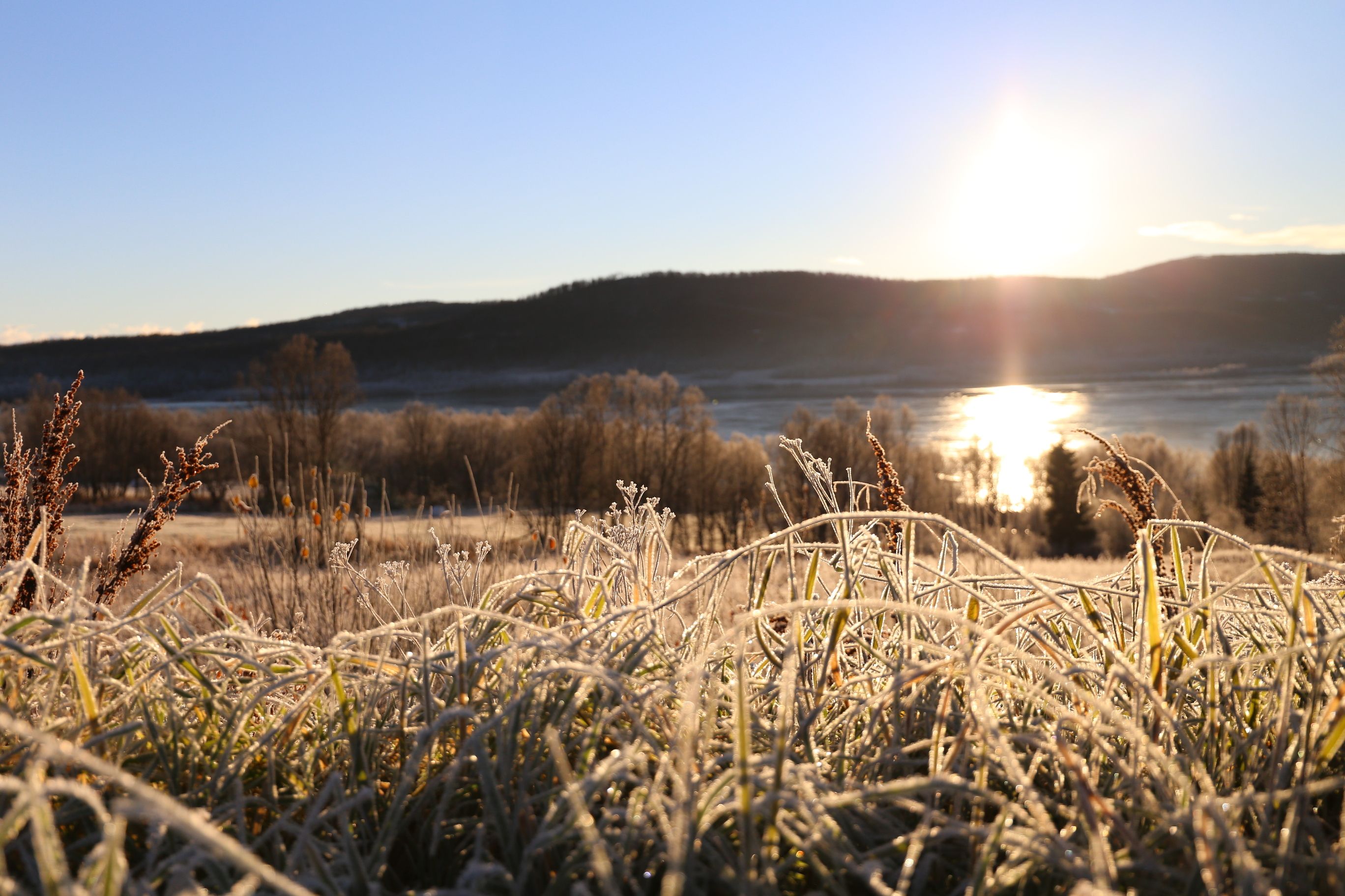 Slik blir været frem mot helgen - folkebladet.no
