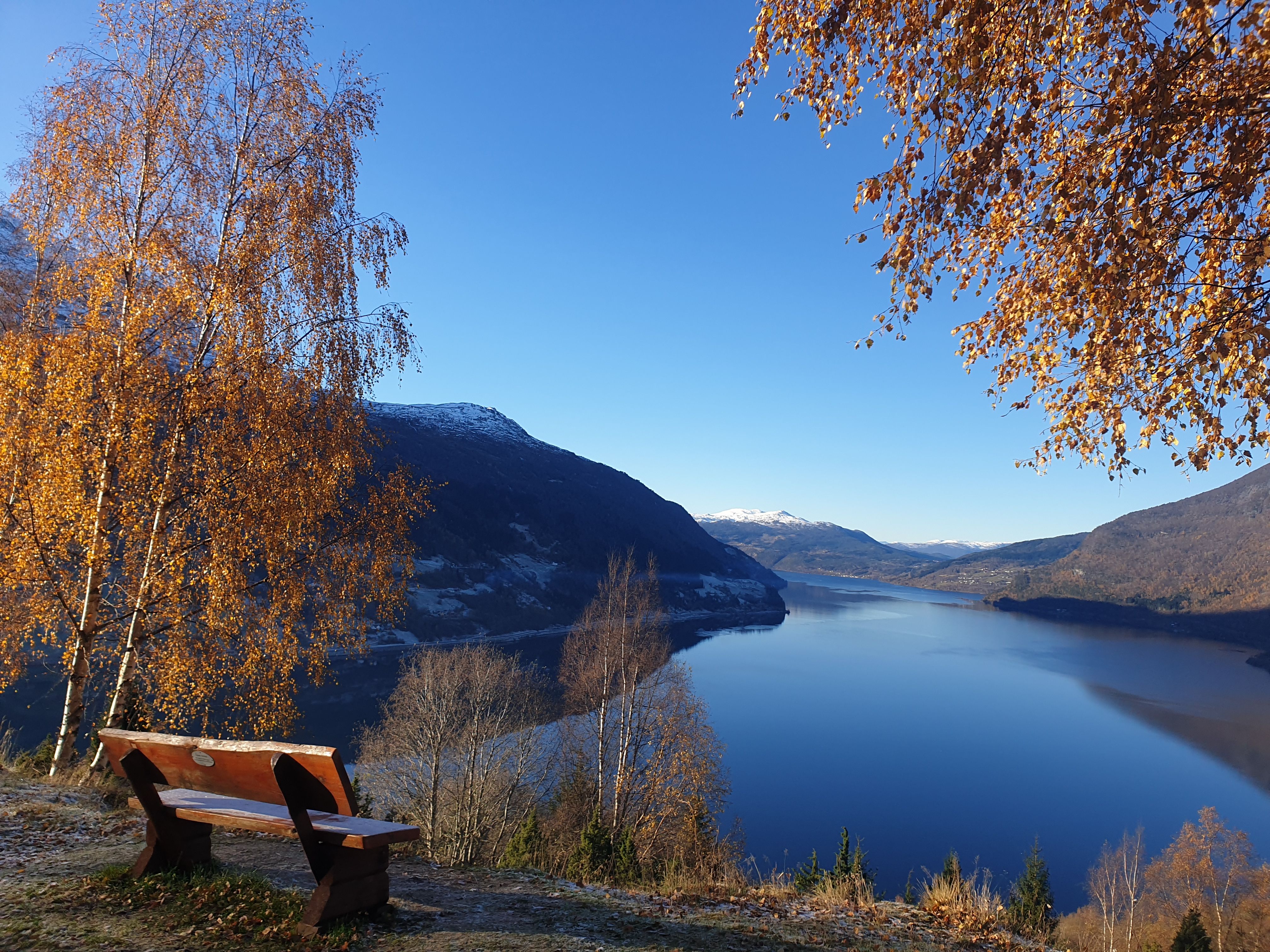 Fagre haustfargar i indre Nordfjord - fjordingen.no