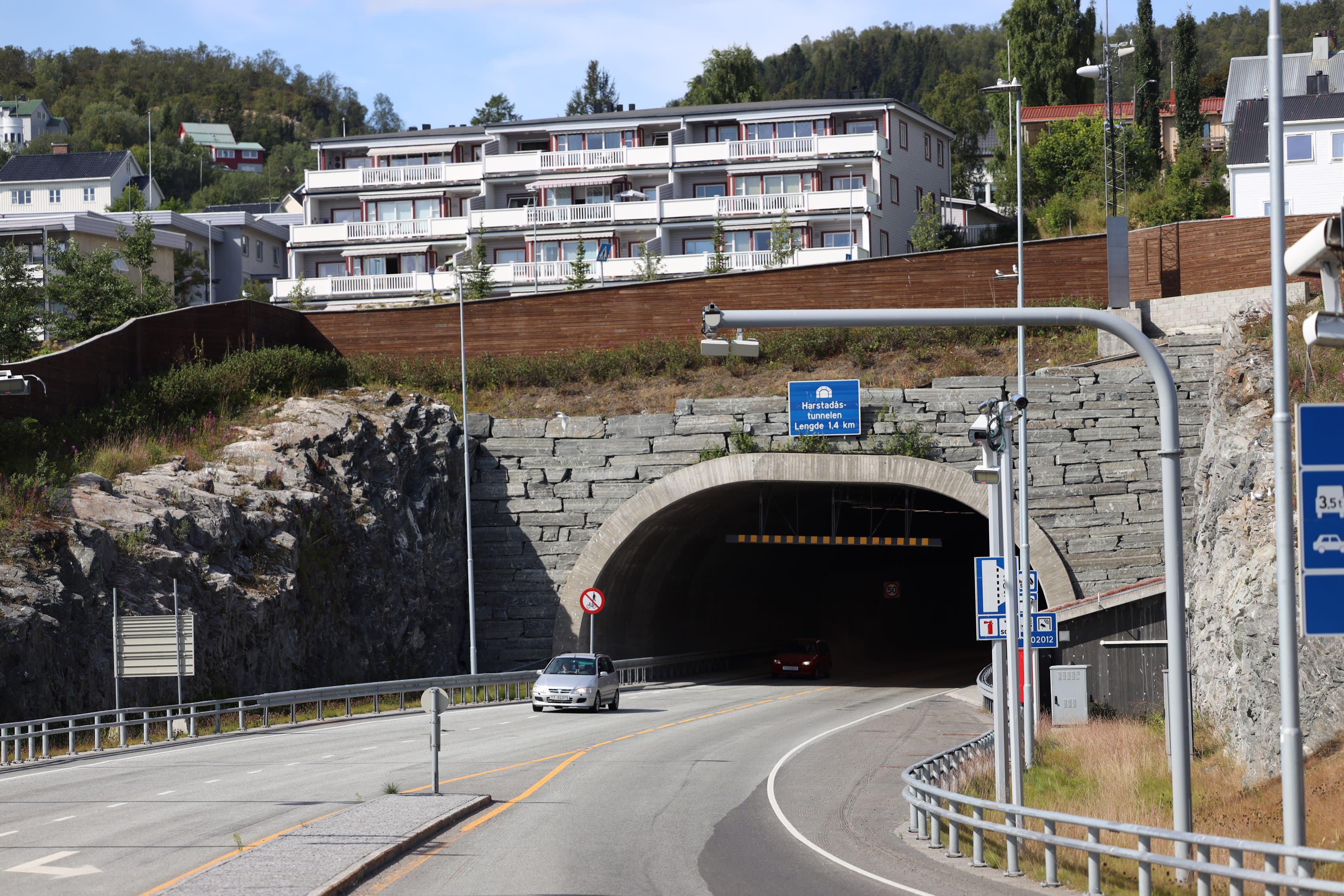 Måseunger dør ved tunnelen: – Senk farten - ht.no