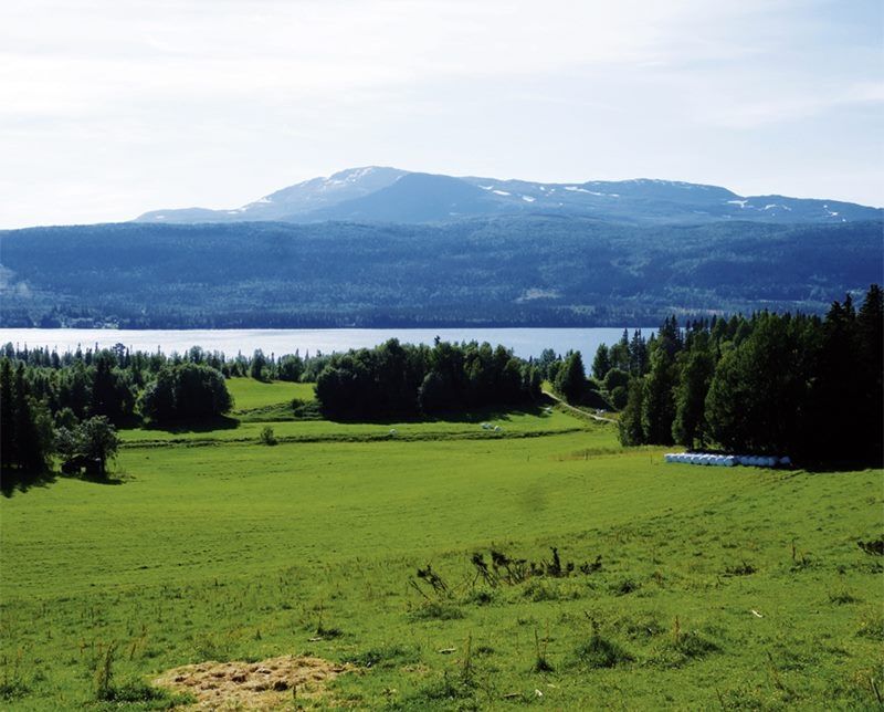 Fäviken Game Fair blir Västgård Game Fair - s-n.no