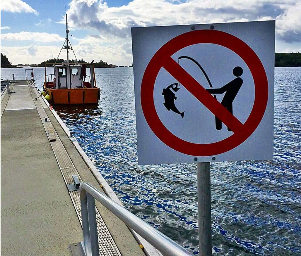 Fiskeforbud blir politikk - lp.no