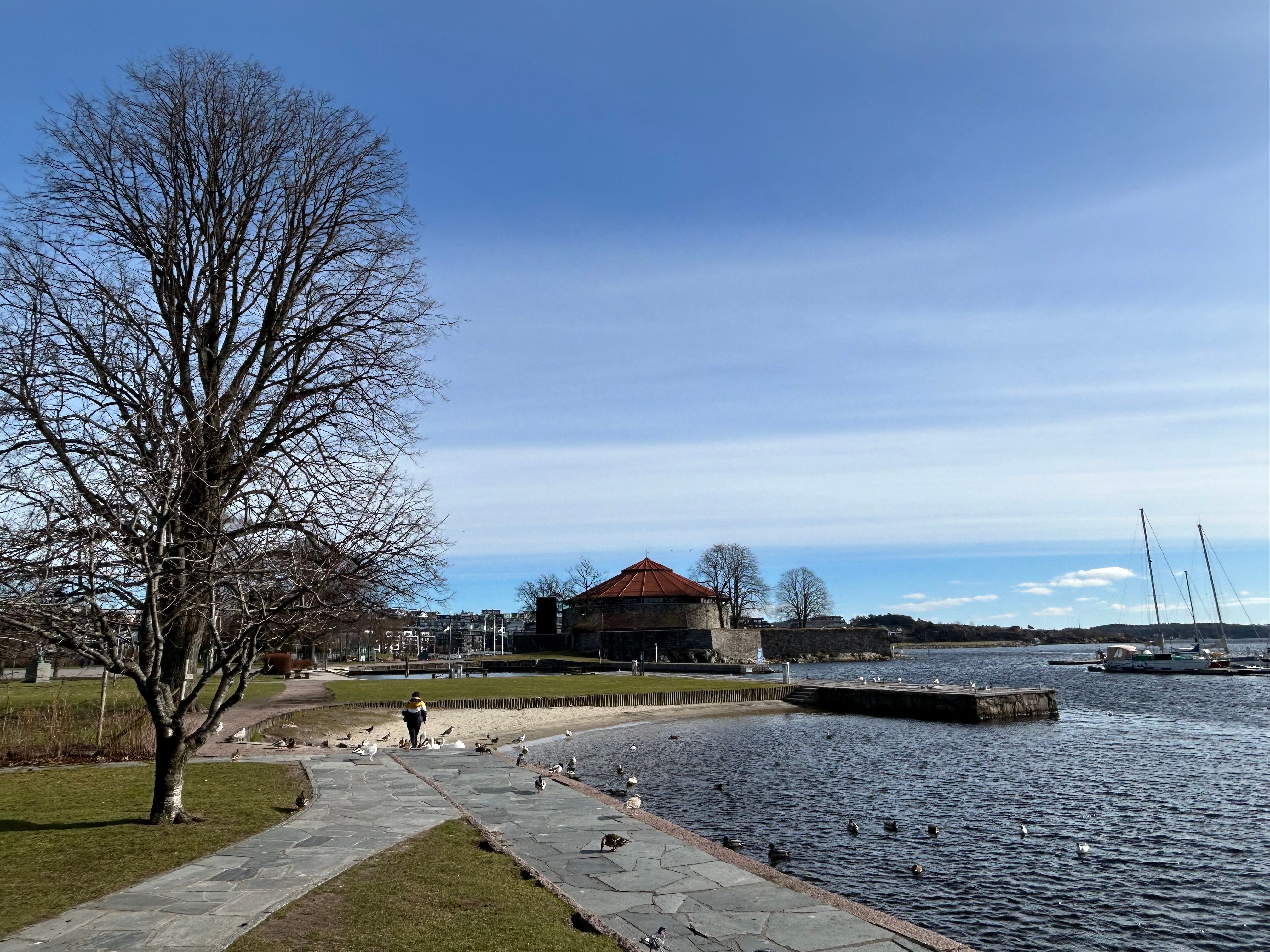 Ingen flere fine vårdager i sikte - fvn.no