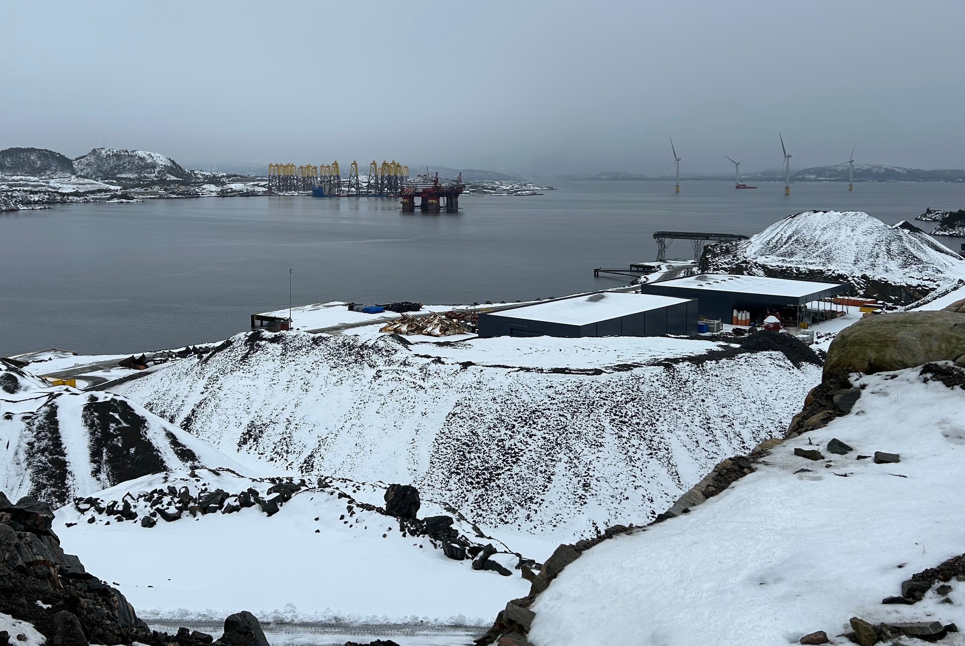 Verksemda tok ut massar for fleire hundre millionar. Direktoratet ...