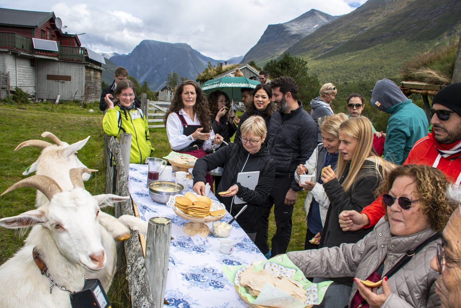 Inviterer cruiseturistene til eksotisk setertur: - Det har tatt helt av ...