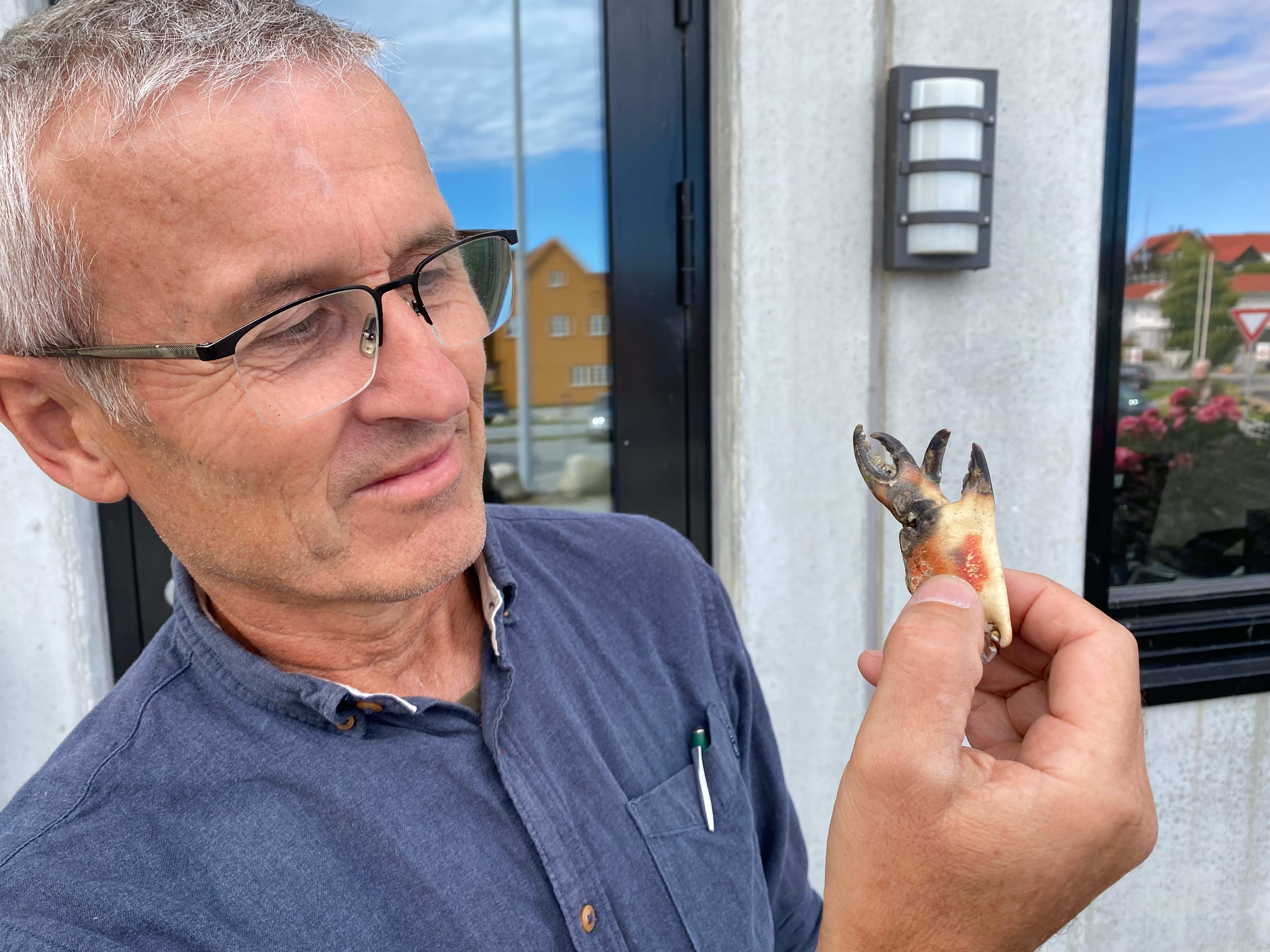 Nytt naturfenomen i Finnøy: Krabbe med ekstra klo - oyposten.no