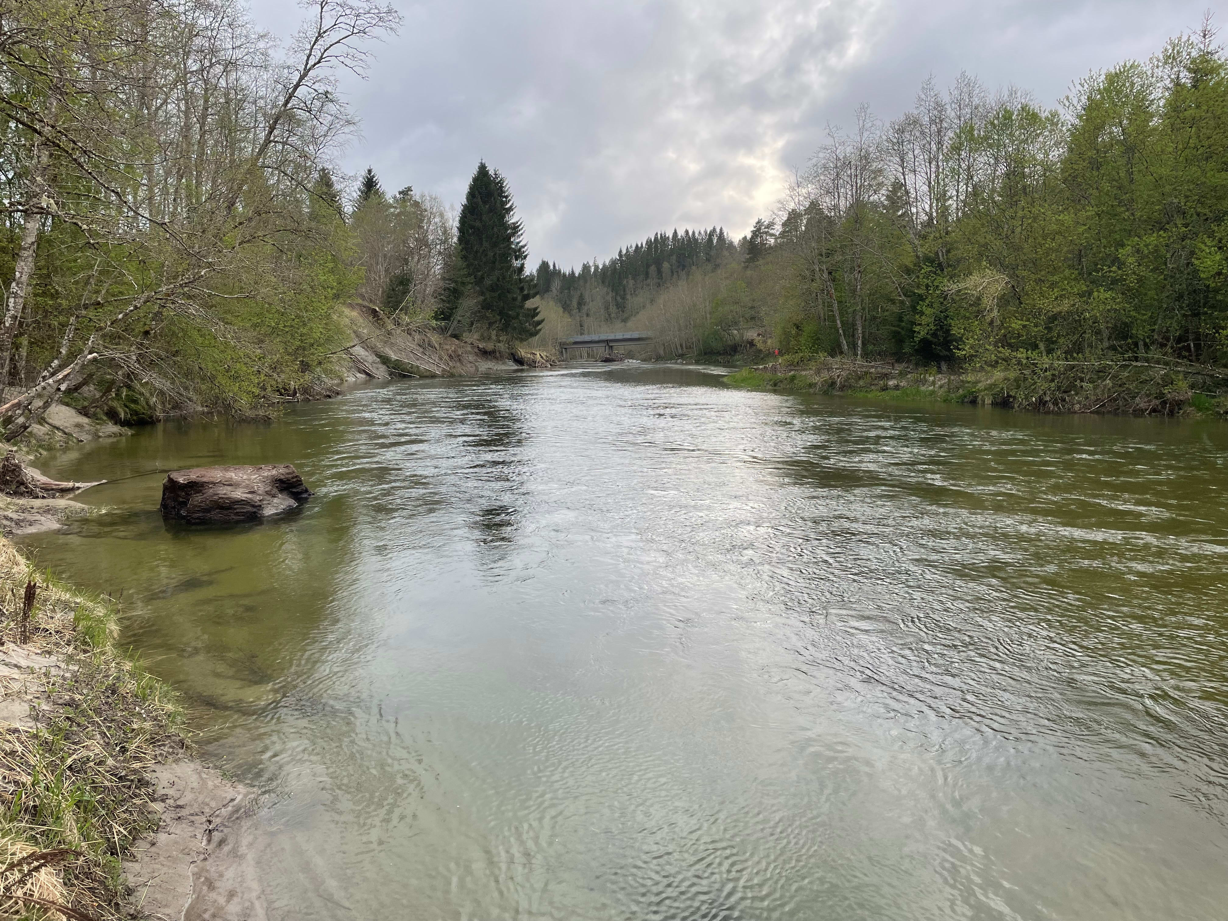 Søya har blitt ei ny elv - forvandla av Gyda - driva.no