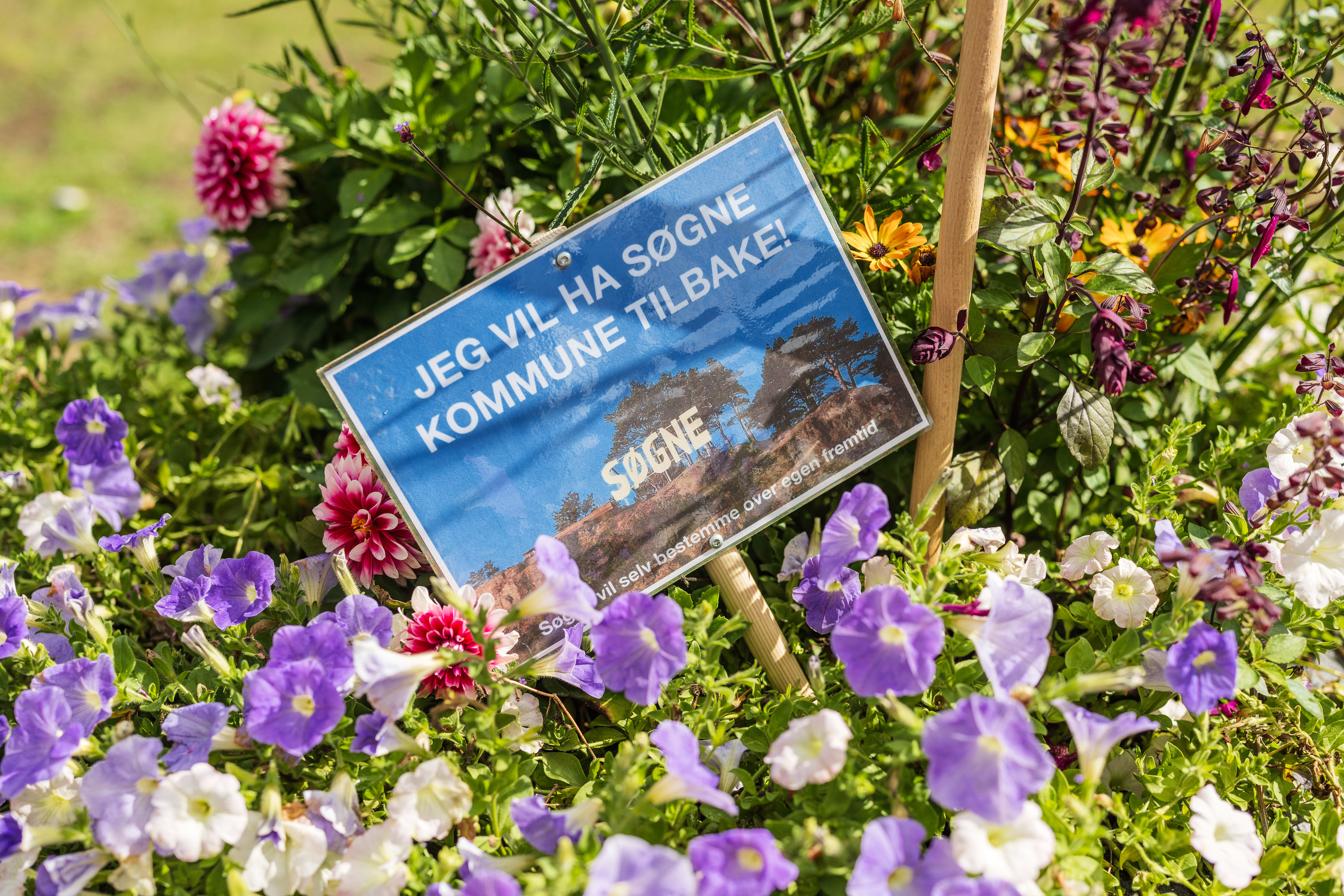 Blanke ark for Søgne – hvilken mulighet! - fvn.no