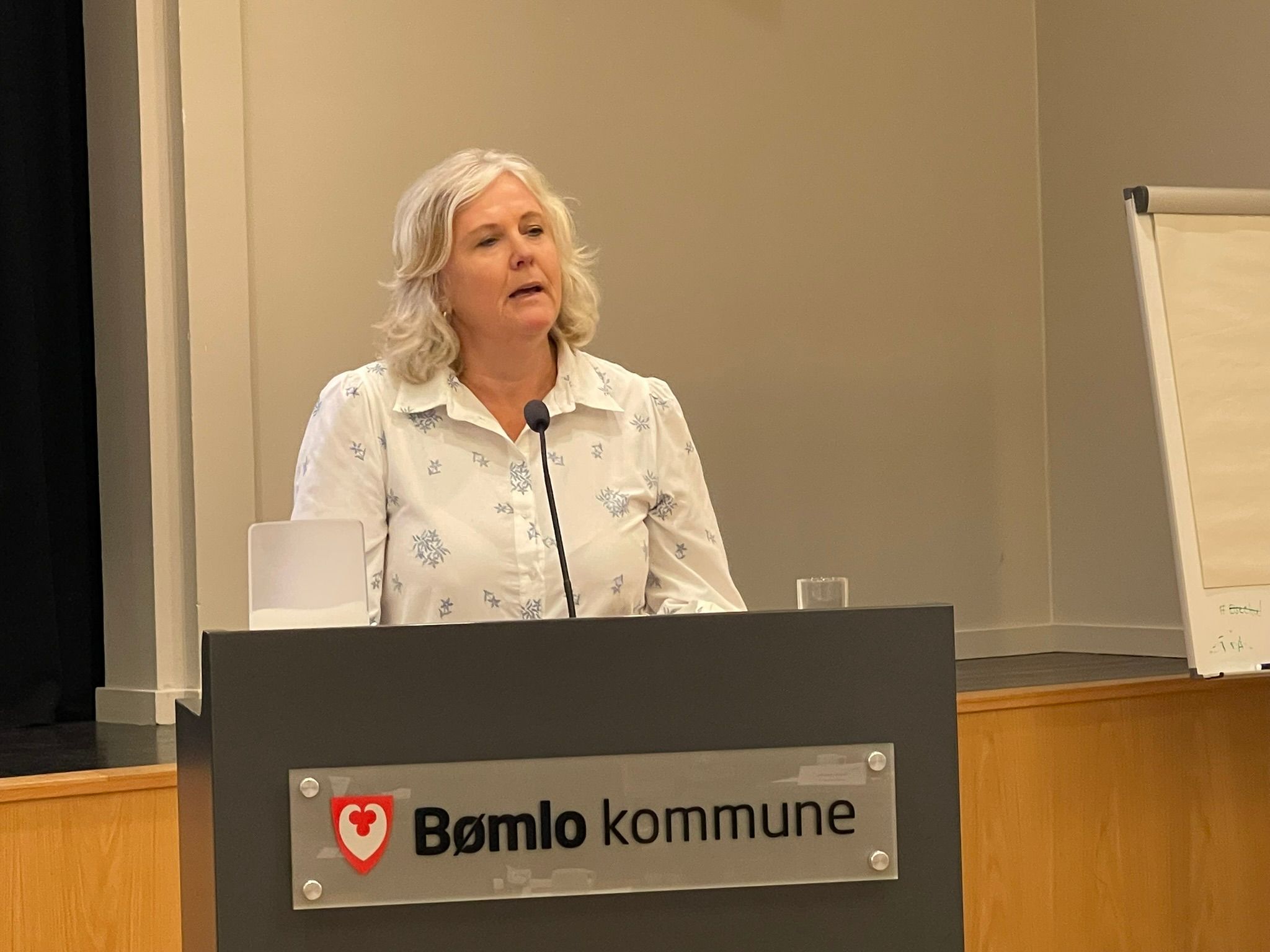 Ho ville ha eit kostnadsoversyn, og fekk det