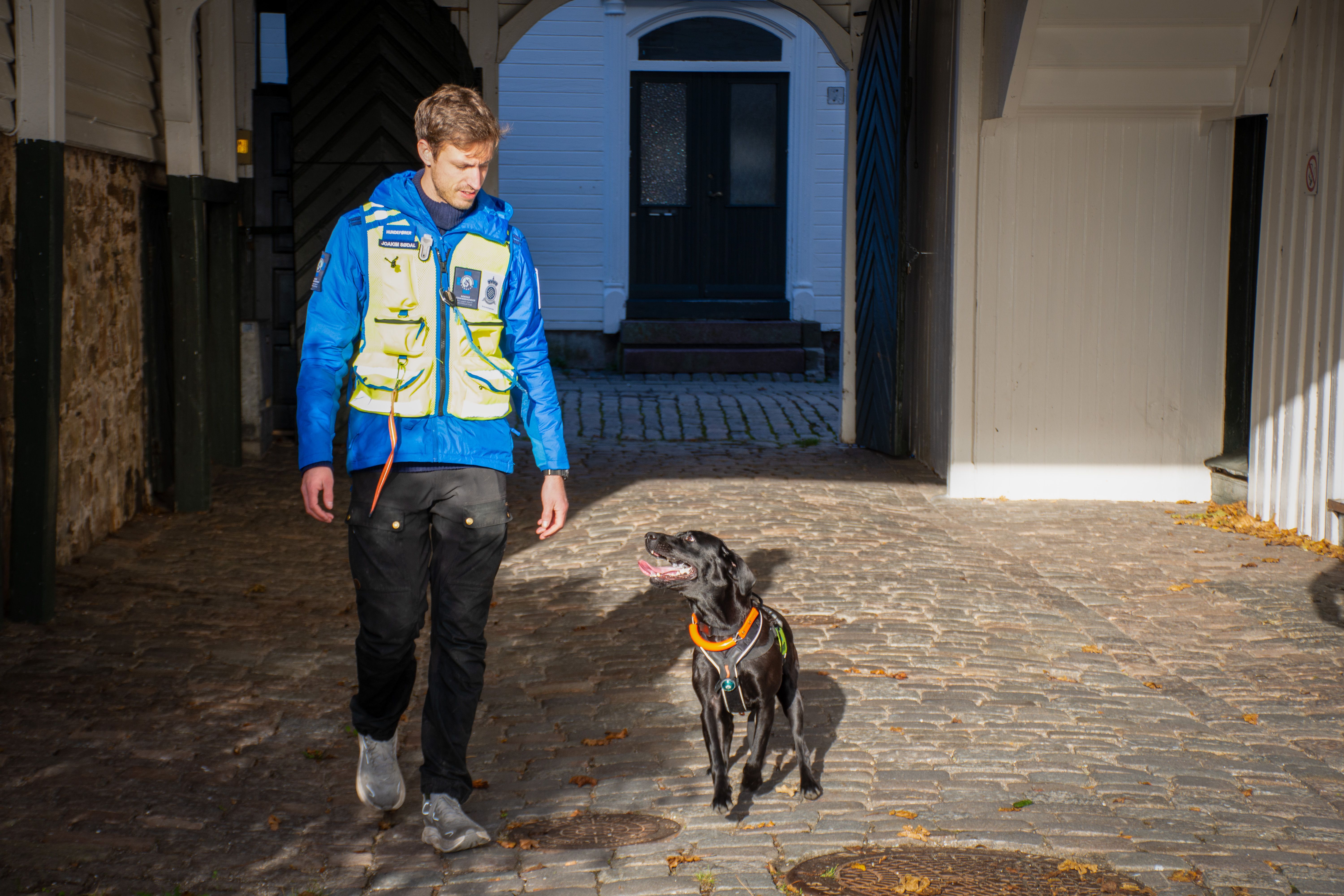 Rednings­hundene søker i gatene - l-a.no