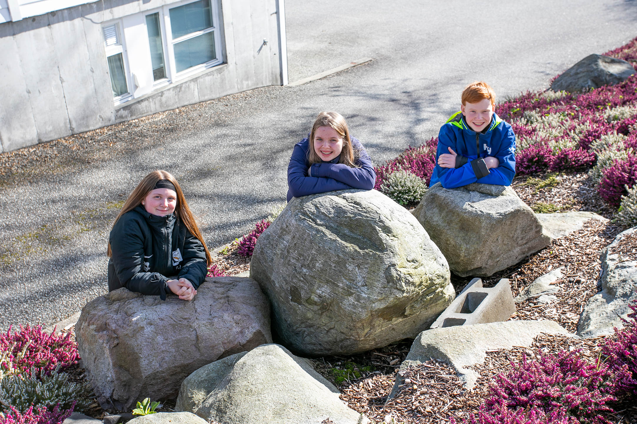 Katt, klipp og kjøleskåp - marsteinen.no