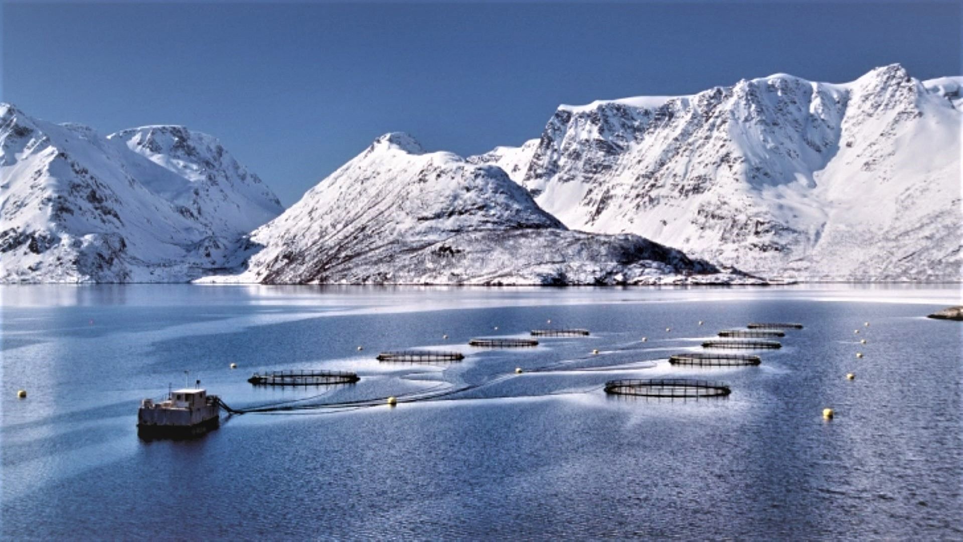Inseanergy med samarbeid i Finnmark - vestlandsnytt.no
