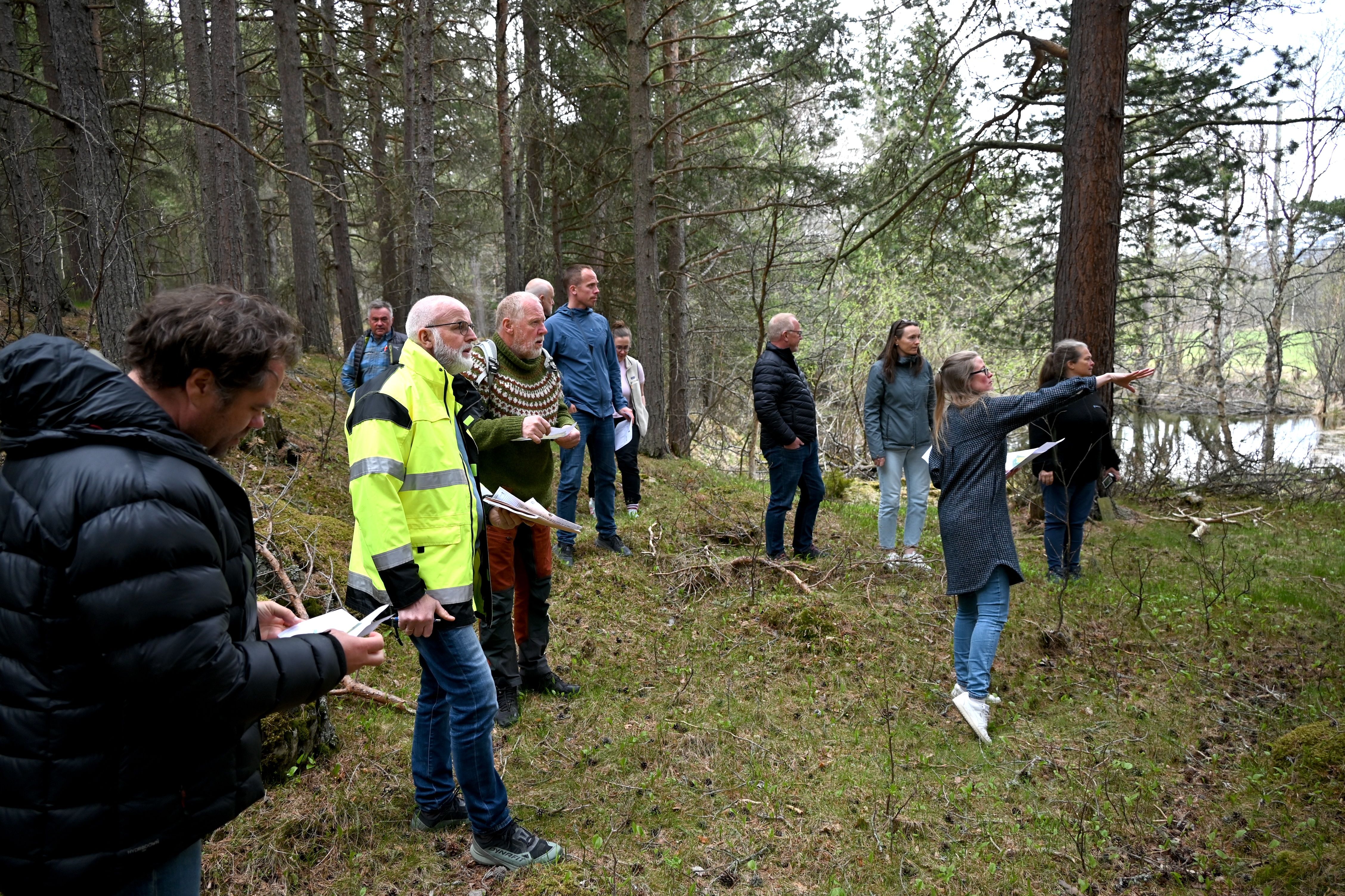 Innspill til nytt boligfelt: Bekymret for matjord, klima og miljø - opp.no