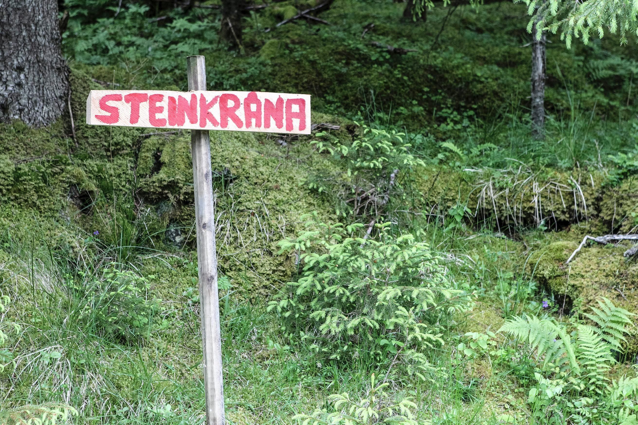 21 skilt på plass rundt Dalsvatnet - morenytt.no