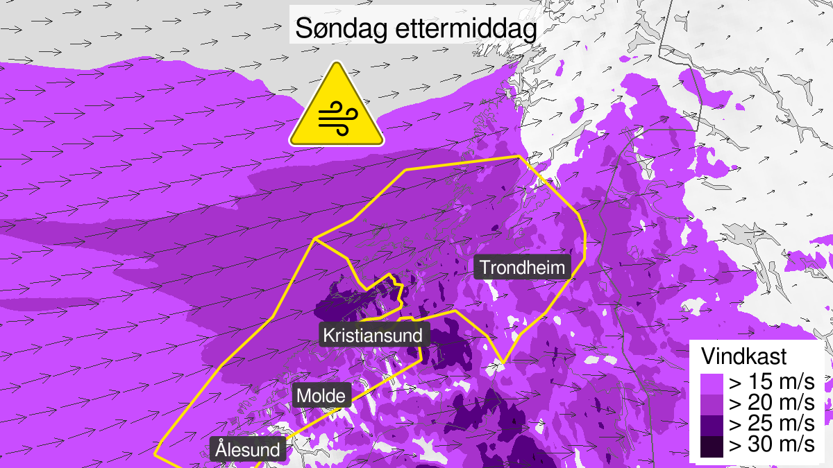 Varslet om gjenstand i tunnel