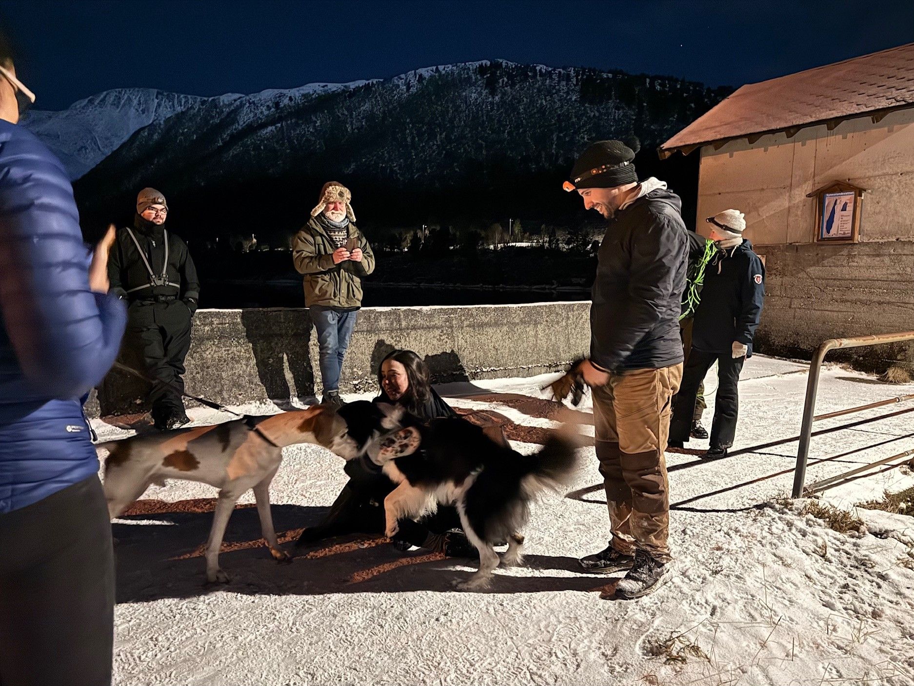 «Floki» funnen i live - smp.no