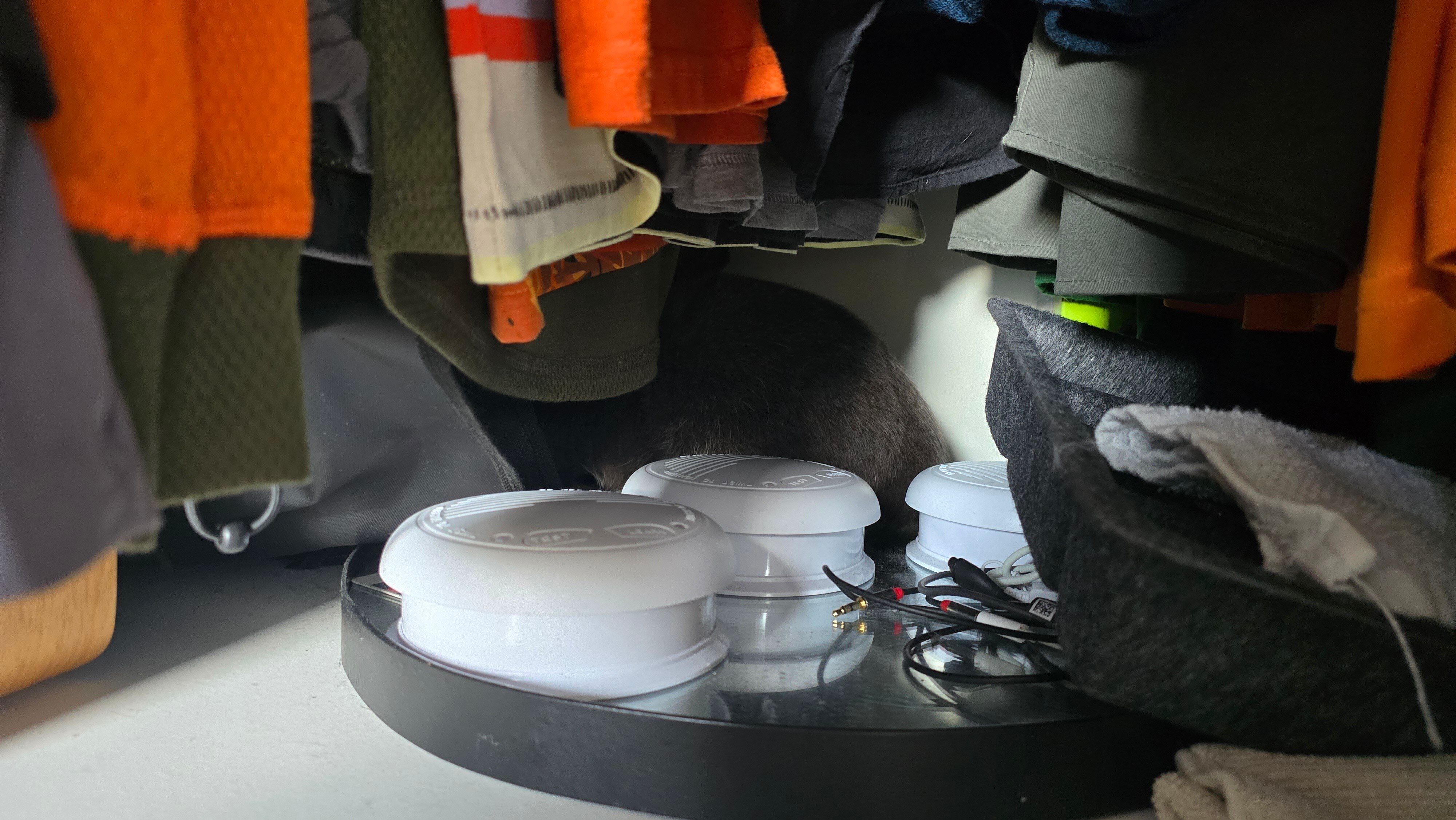 Ble vekket av en ekte «cat burglar» - adressa.no
