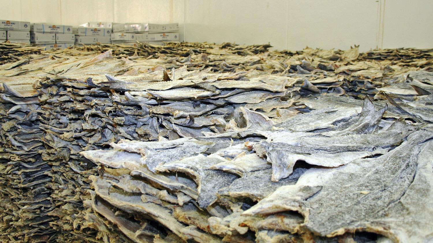 Svakere for saltfiskeksportørene - kystogfjord.no