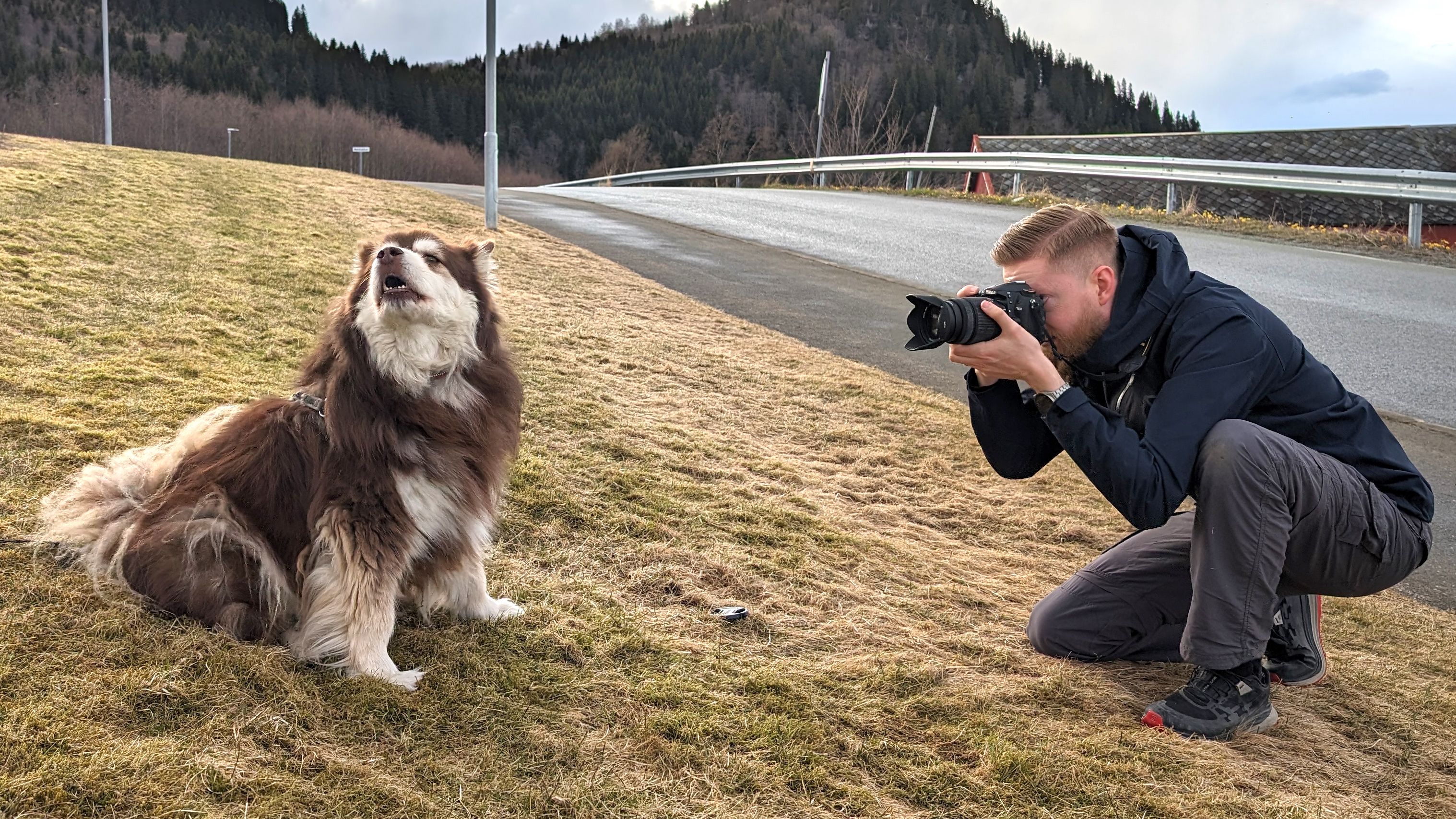 Tom Inge (38) har tatt 10 000 bilder av bygdas hunder - avisa-st.no