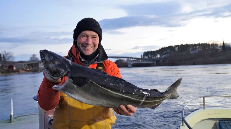 Nå kan du få rykende fersk fisk og levende sjøkreps – med selvbetjening