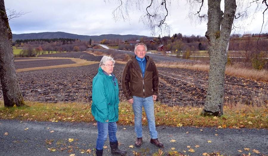 Vil vente med elektrifisering! - s-n.no Vil vente med elektrifisering! - s-n.no