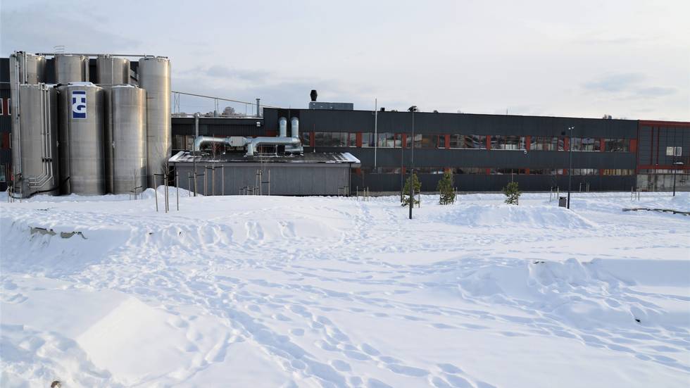 Levanger kommune setter opp kamera i Stadionparken - innherred.no