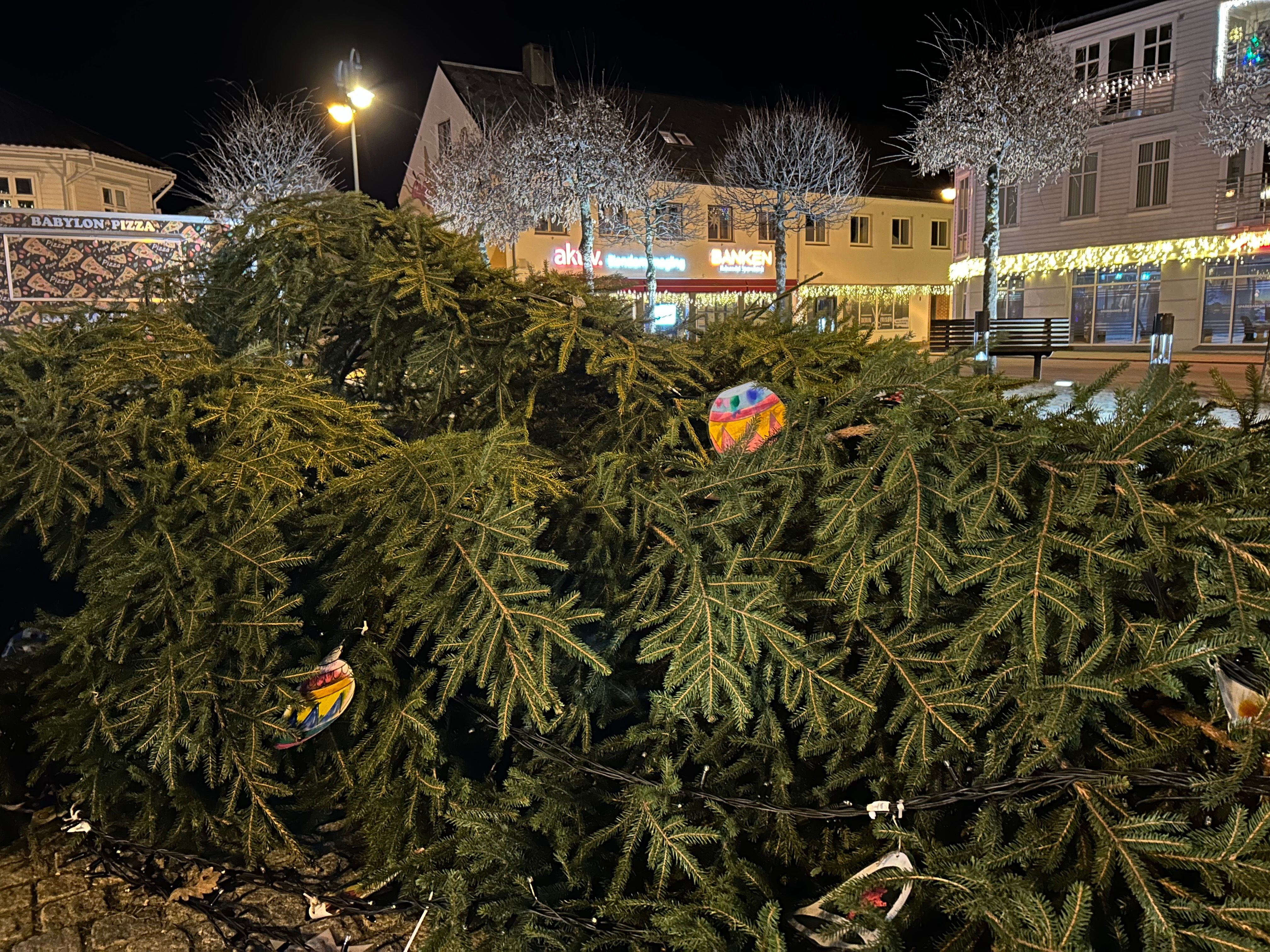 Julegrana sagd ned igjen - agderposten.no