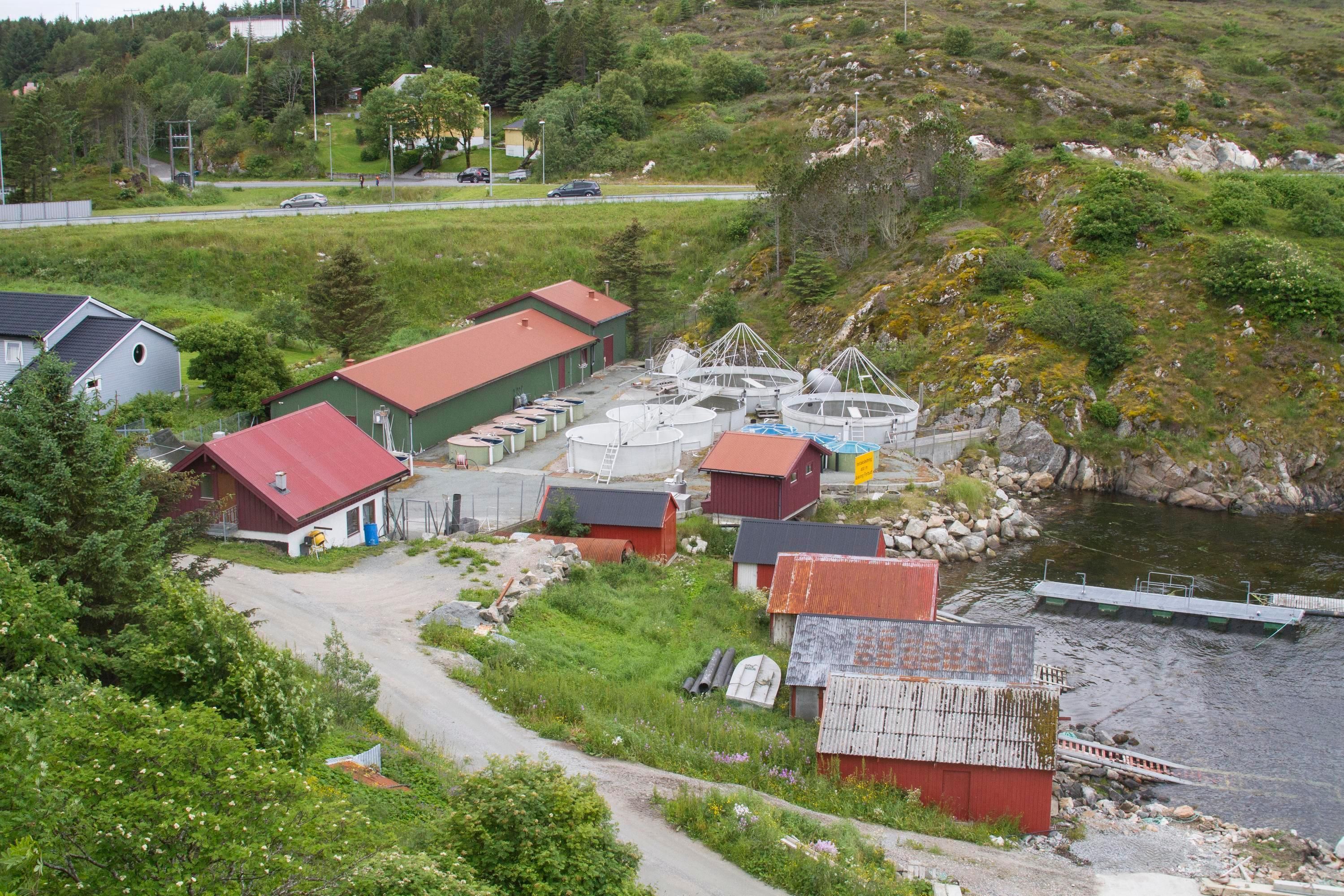 NTNU vil bygge forskningsstasjon i Ervika - hitra-froya.no