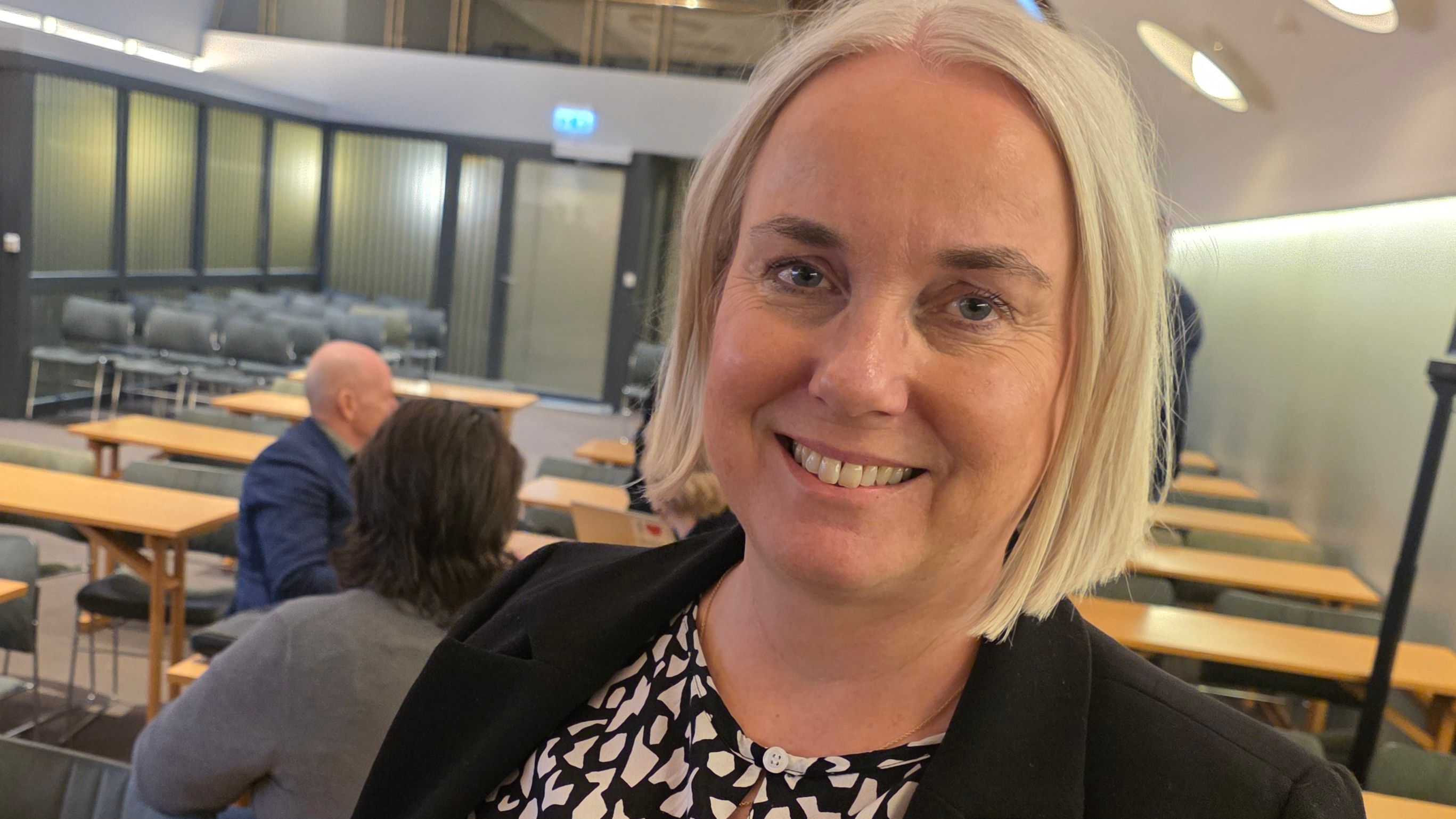 Kan tog ta over for fly? – Bergensbanen peiker seg ut - hallingdolen.no