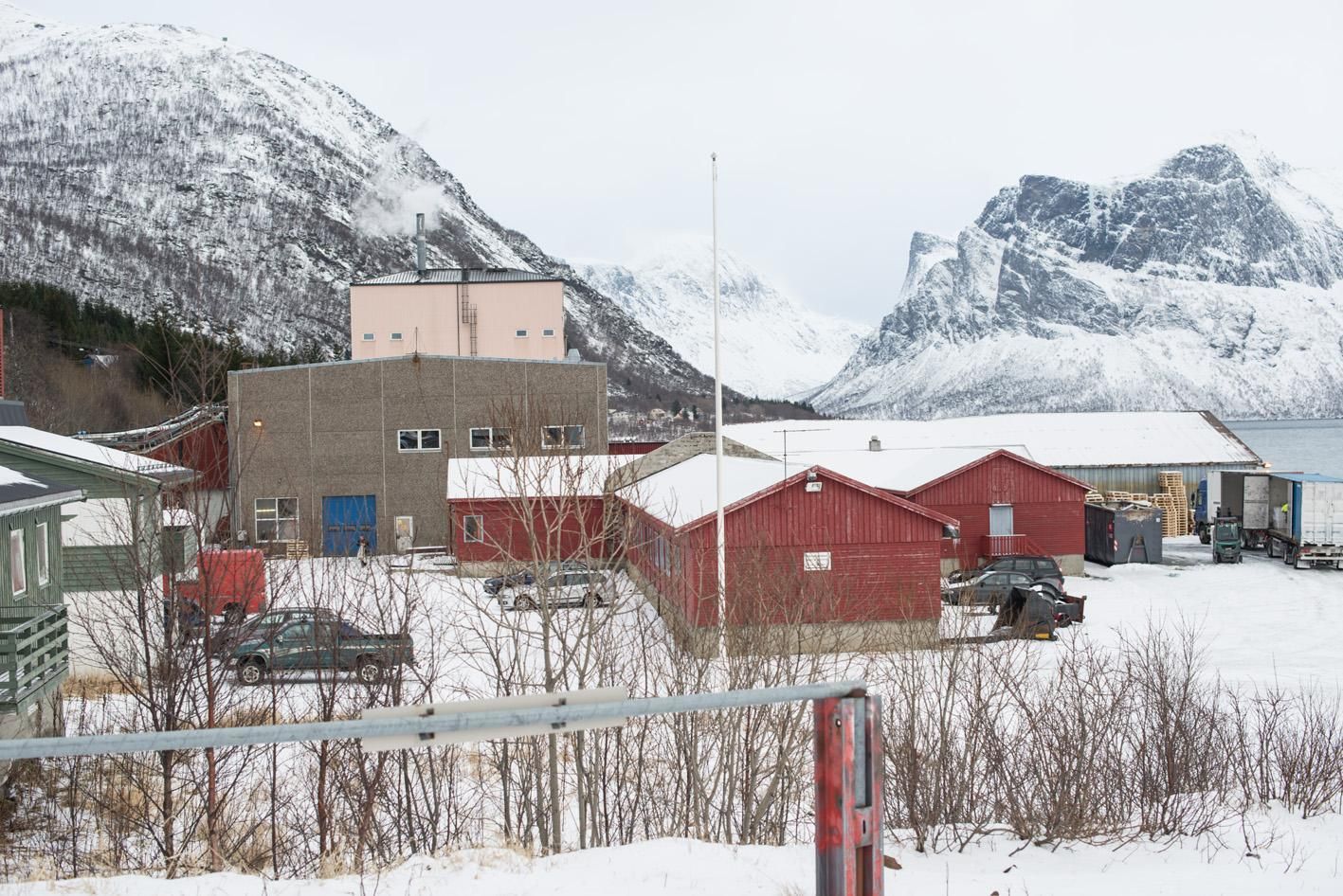 Mersalg av elbiler gir positivt utslag for Skaland Graphite ...