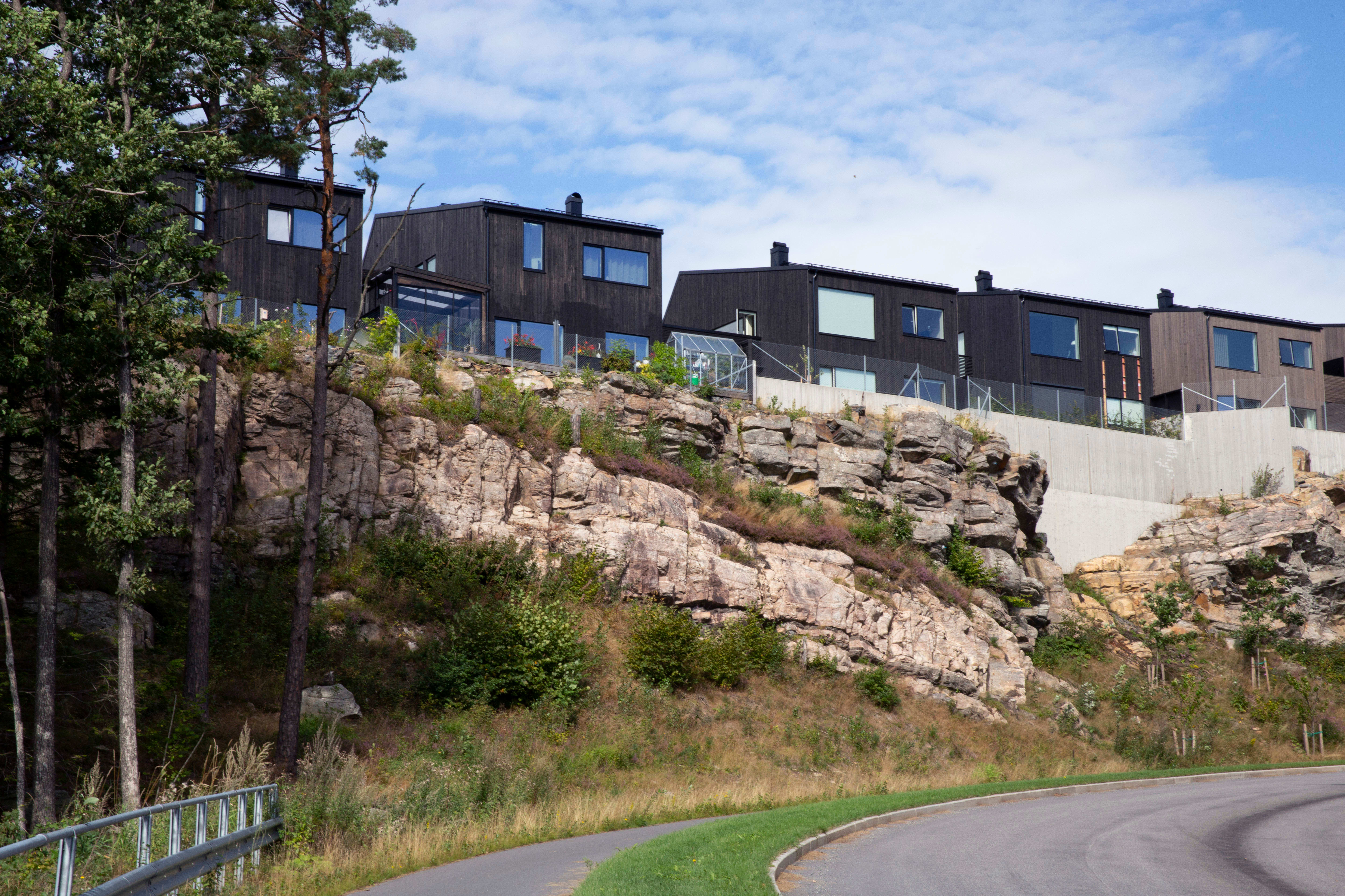 Jeg er både glad og frustrert - fvn.no