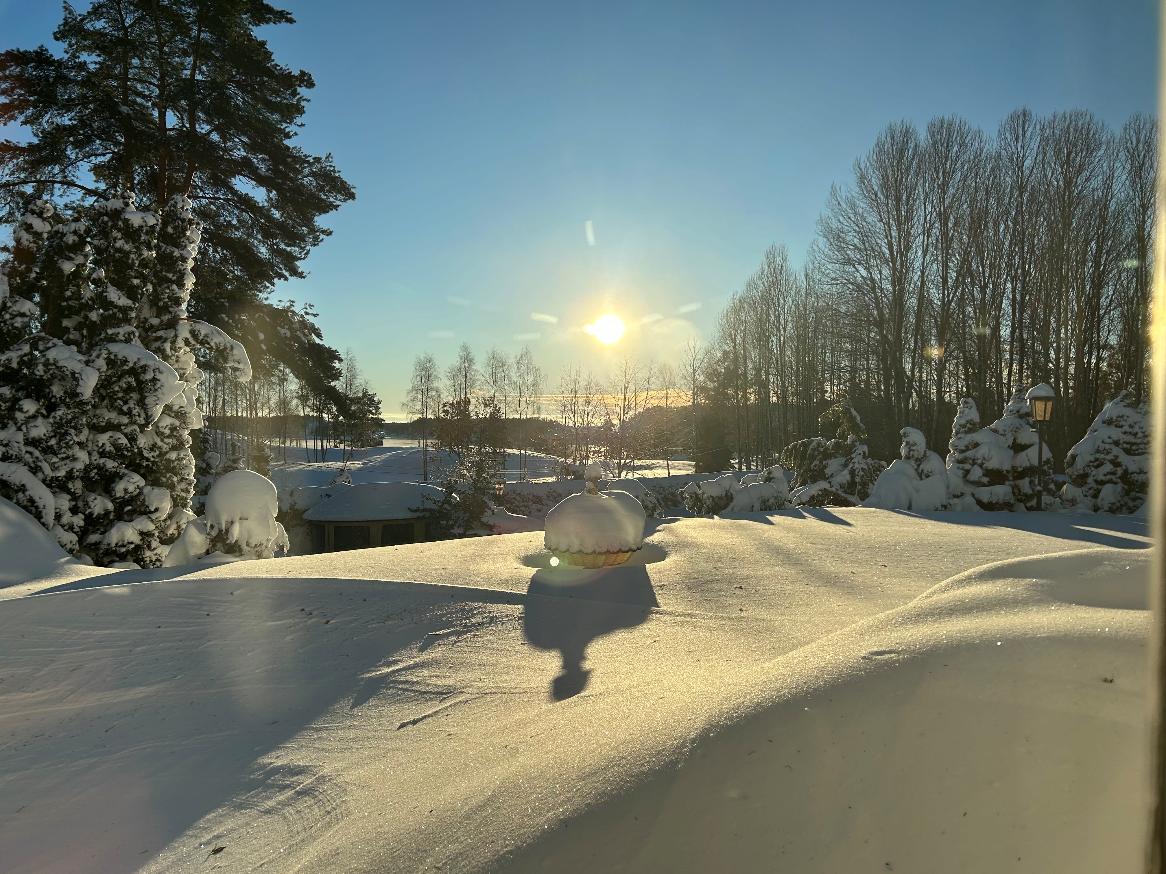Sprik om parkeringsbehov: Statforvalter og nabo rykende uenige - lp.no