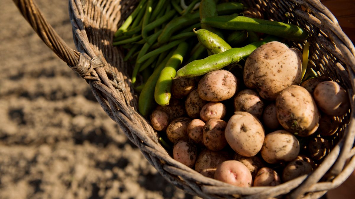 Sju av ti mener vi må dyrke mer - smp.no