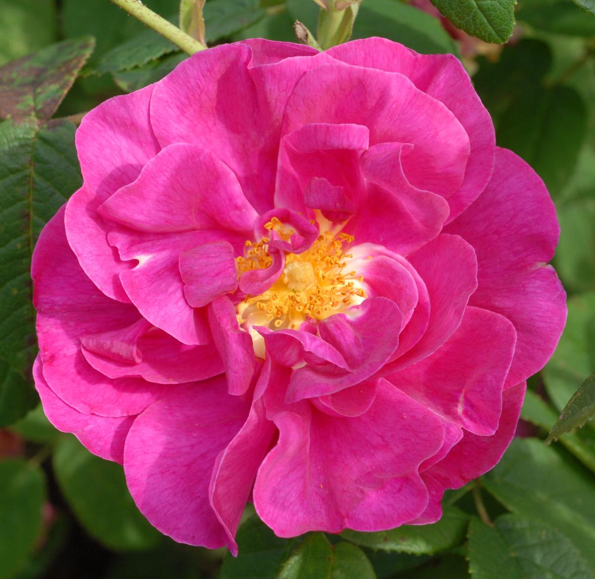 Roser tema på oppstartsmøte - lister24.no