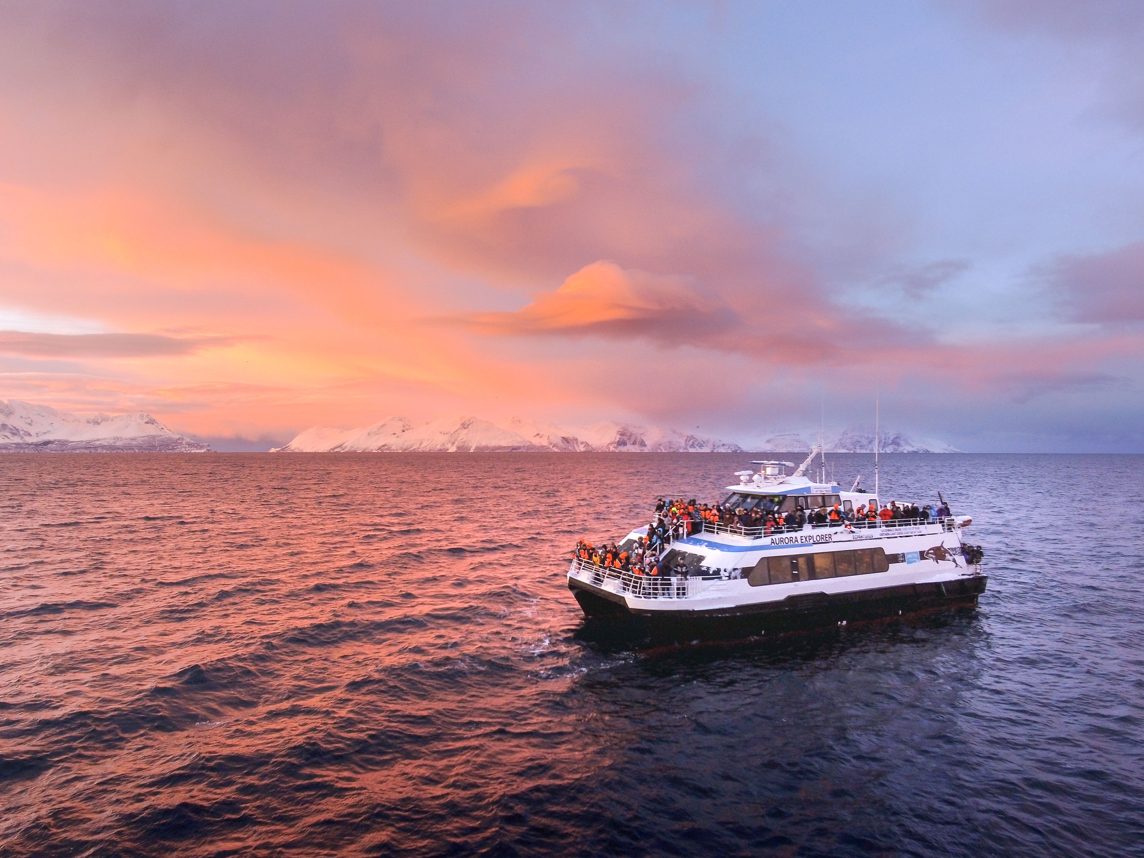 Annonsørinnhold: Vil vise at Nord-Norge er mer enn hval og nordlys ...