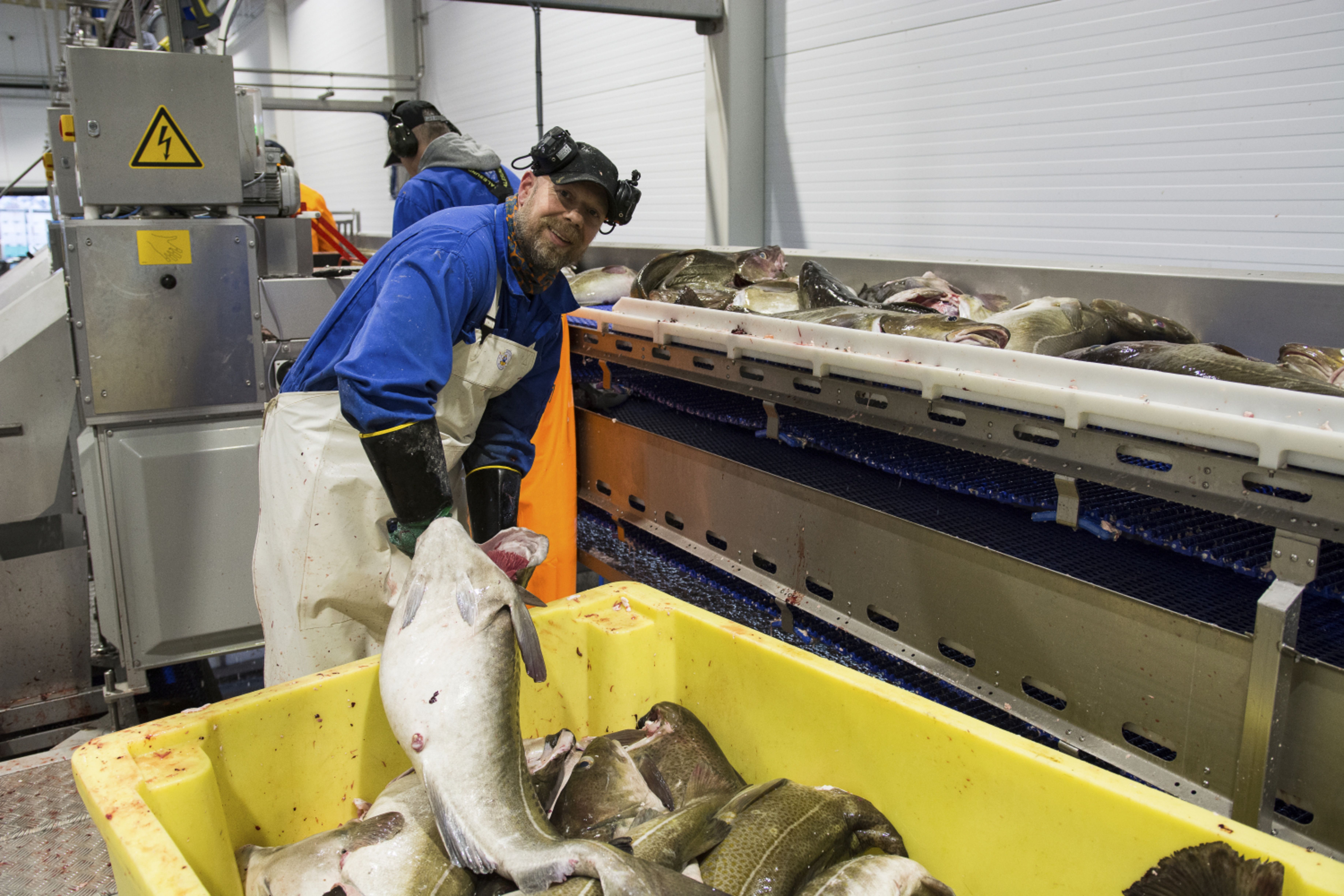 Jangaard Export - kystogfjord.no