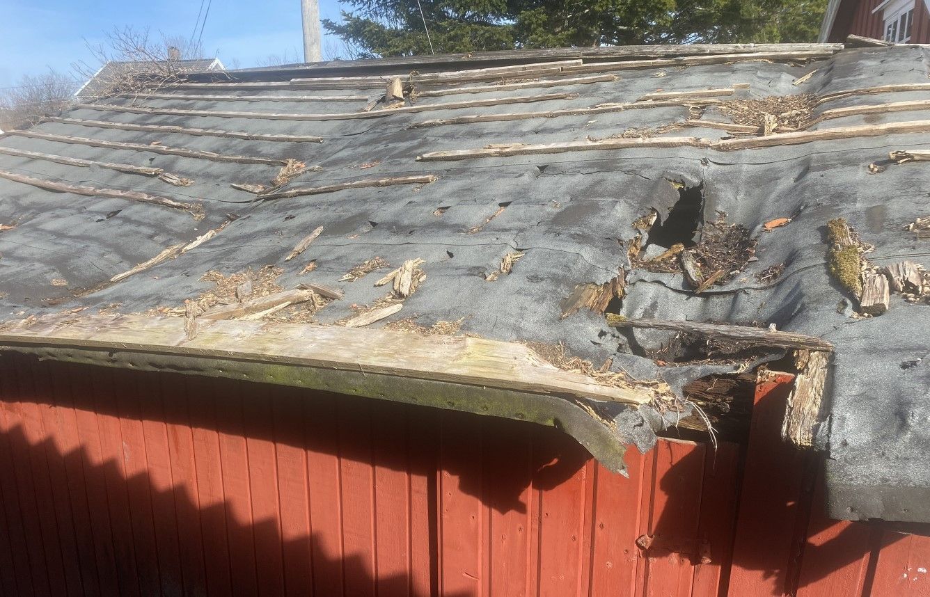 Blant hvite trehus, verne­krav og smale stier på Merdø råtner kommu ...