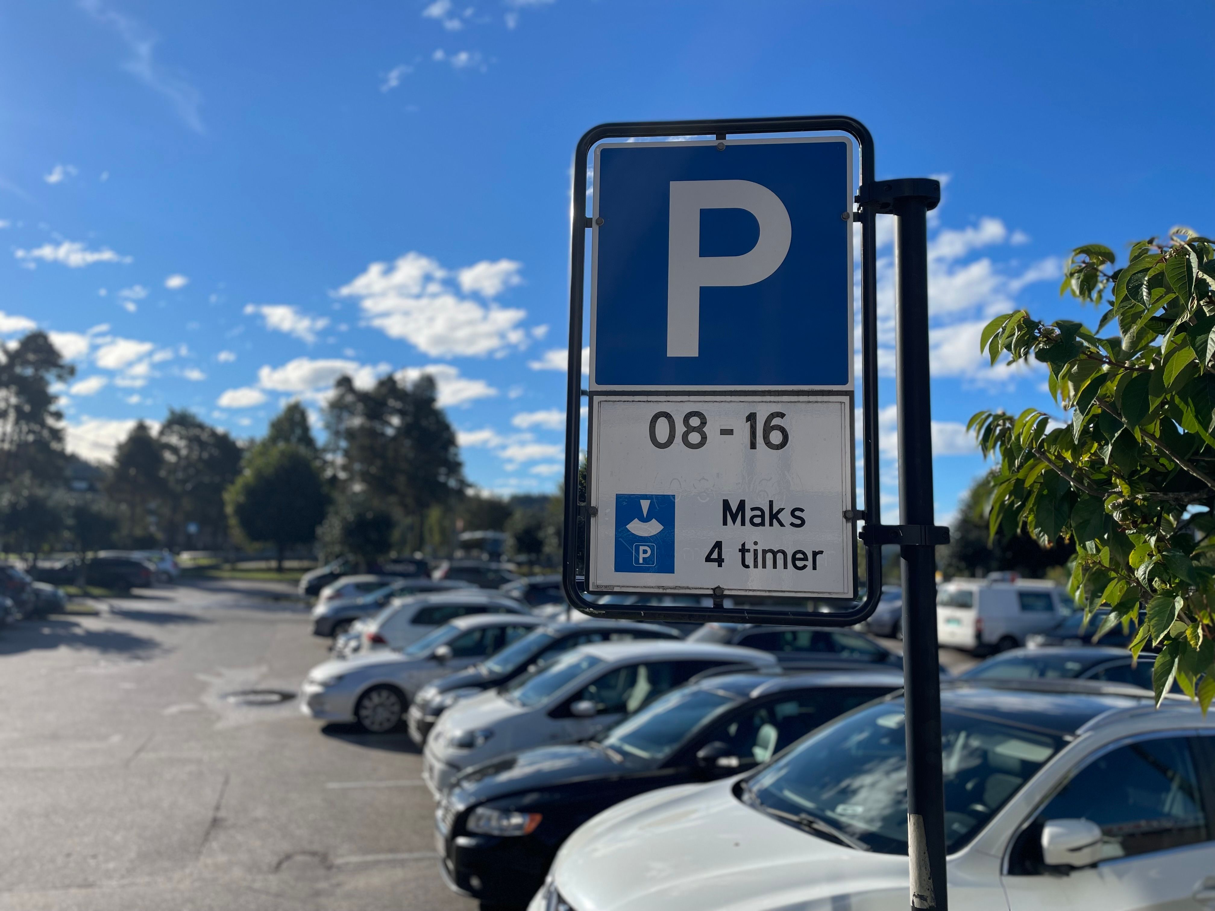 Nå kan du si din mening om skiltingen i sentrum