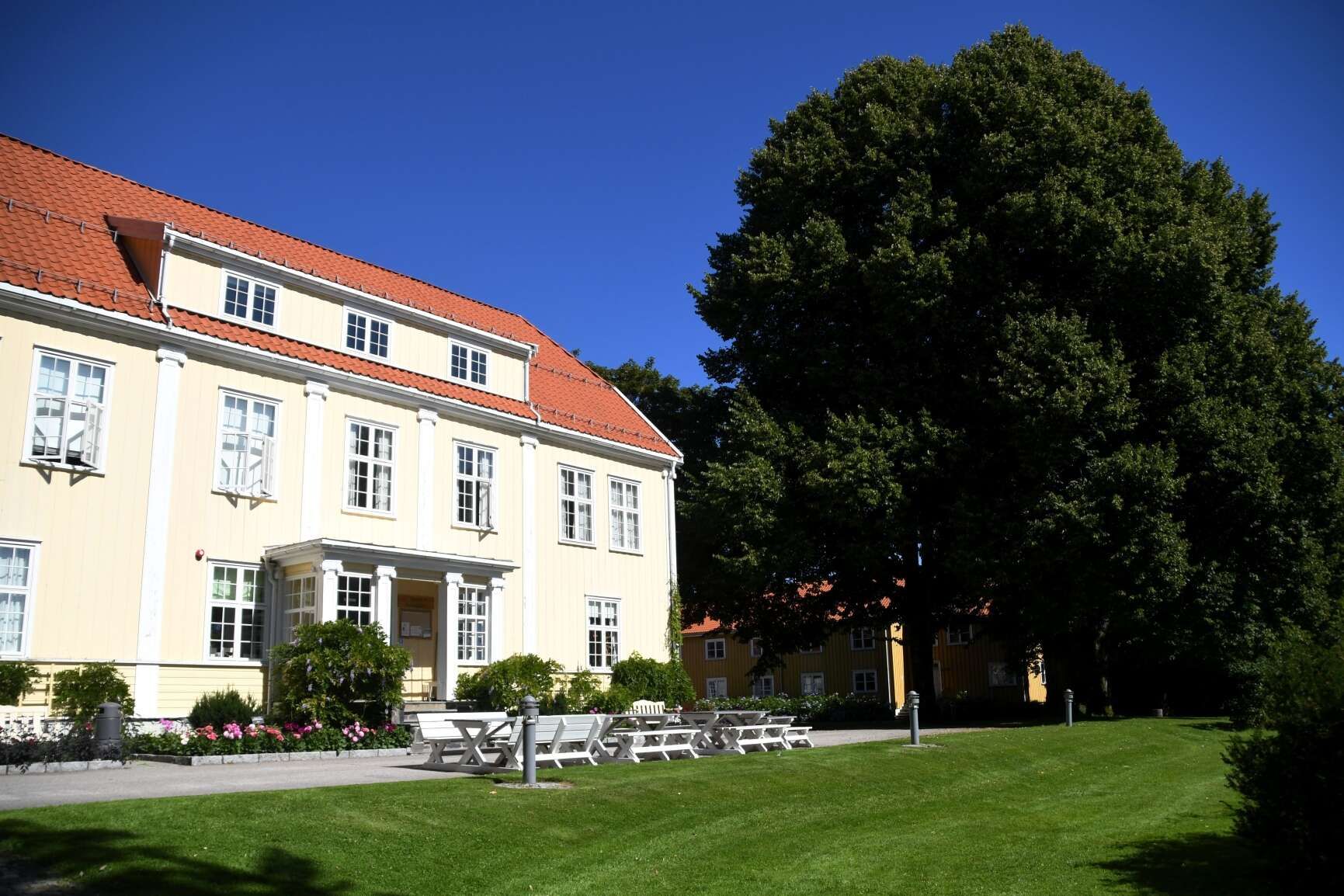 - Jeg tror det er potensial til å tenke mer kommersielt - gat.no