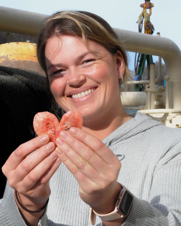 Fiska grønlandsreker for fyrste gong på 12 år - smp.no