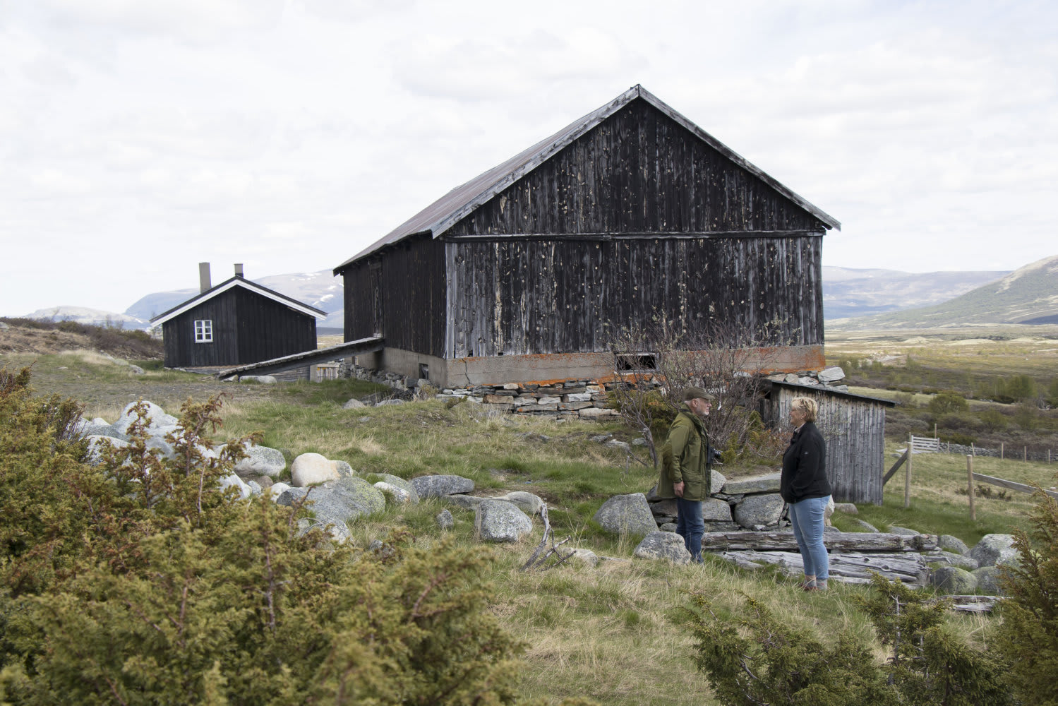 Neste uke skal det være nytt møte om Vesllie - vigga.no