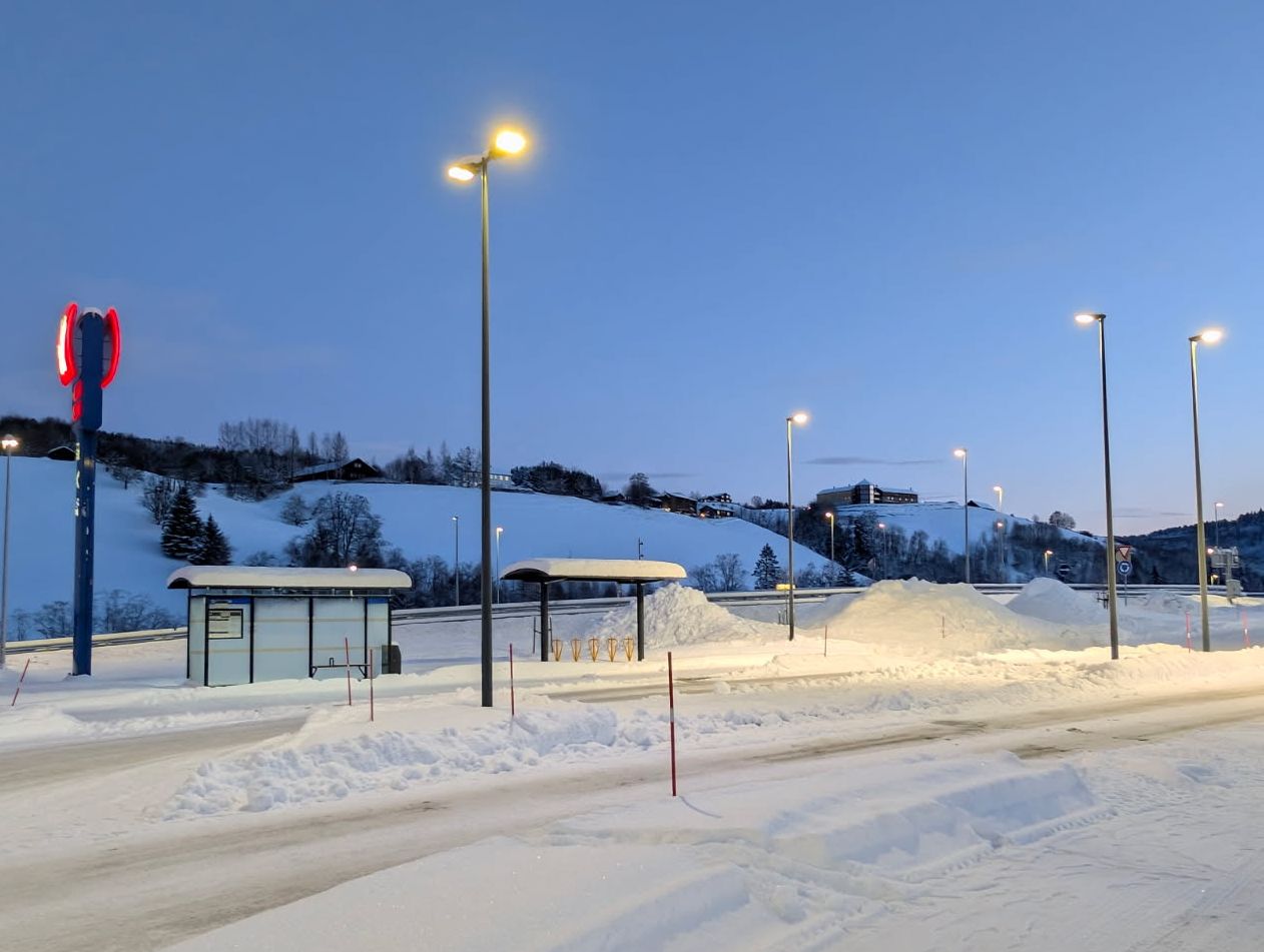 Det Torstein så, er aldri observert i Norge før: – Plutselig dukket den ...