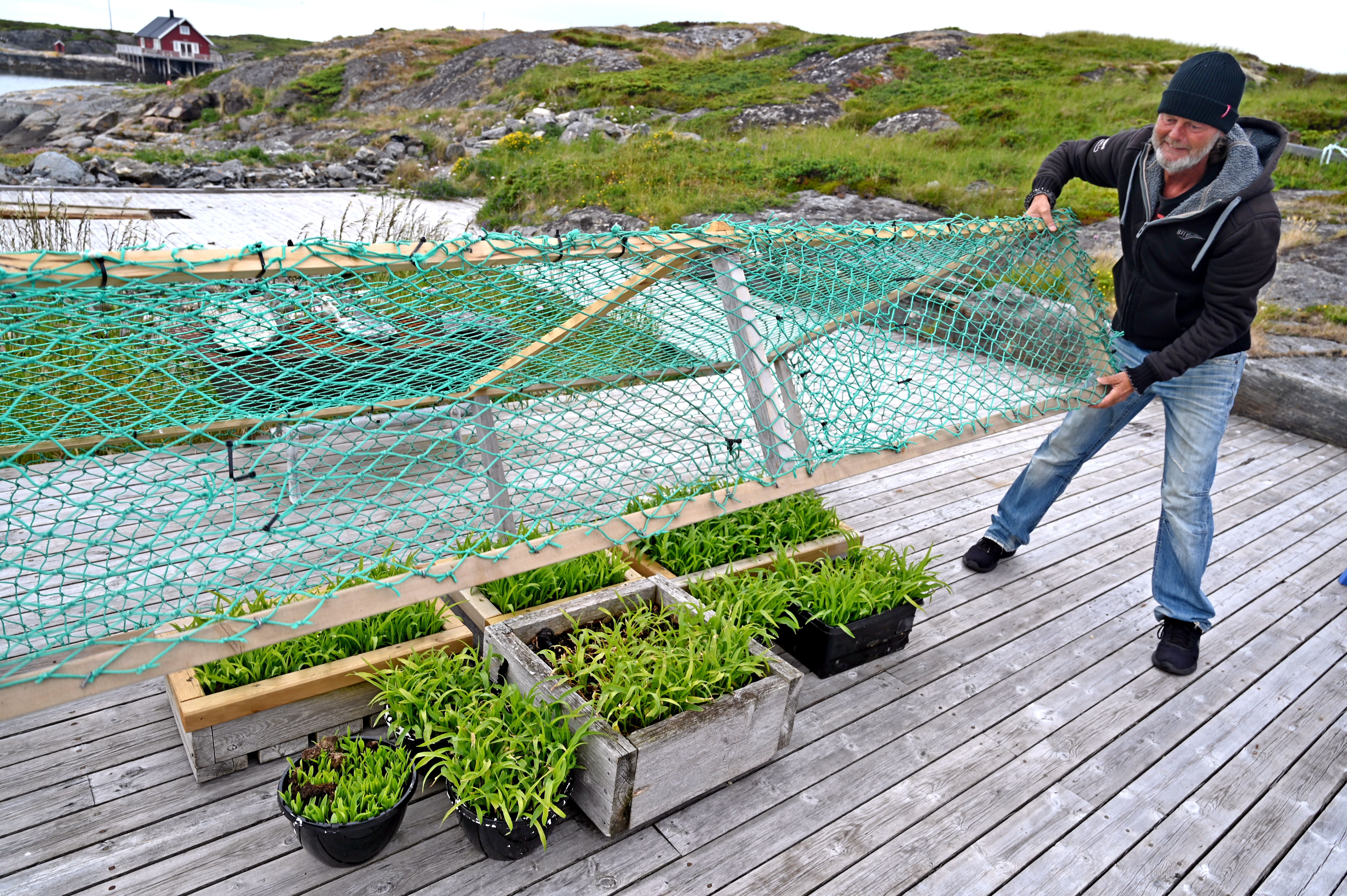 Roger må sikre mot luftangrep: – Dette er hagedrift av det ekstreme ...