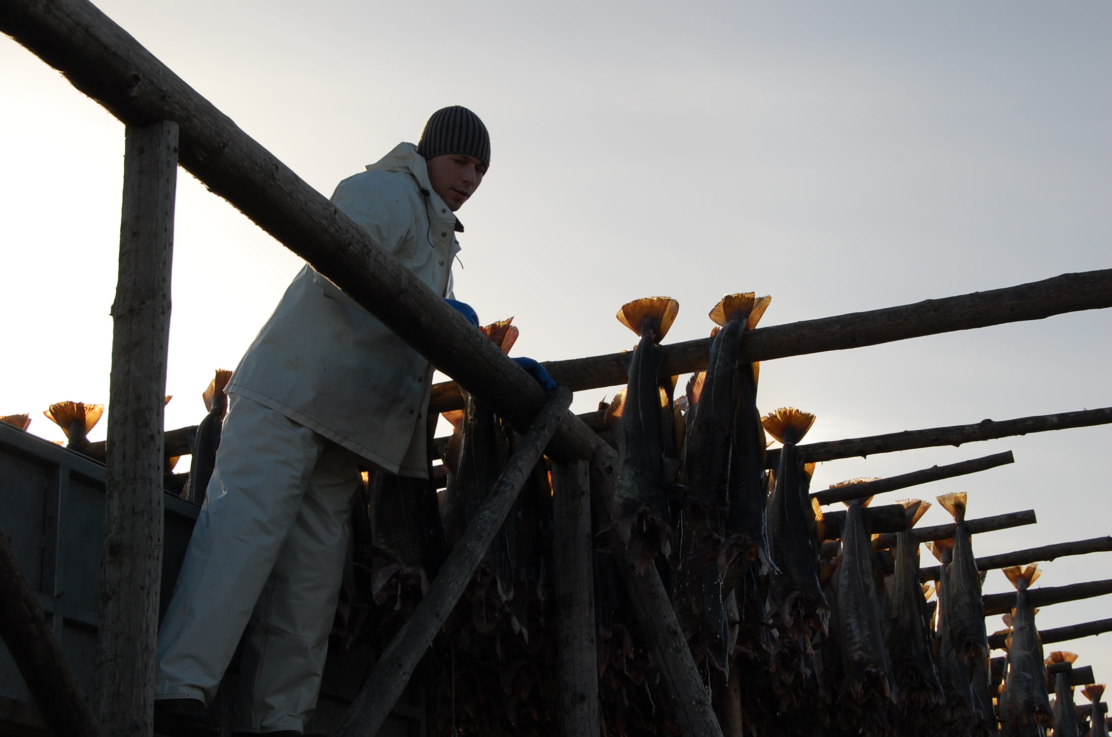 Henging gir bedre pris - kystogfjord.no