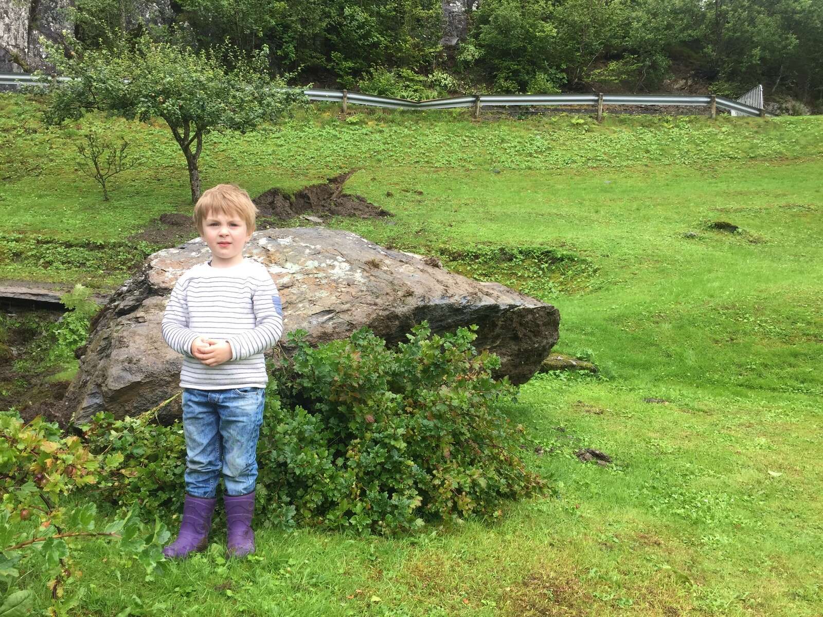 Lars Edward (3) skulle plukka stikkelsbær med mormor. Så kom steinen ...