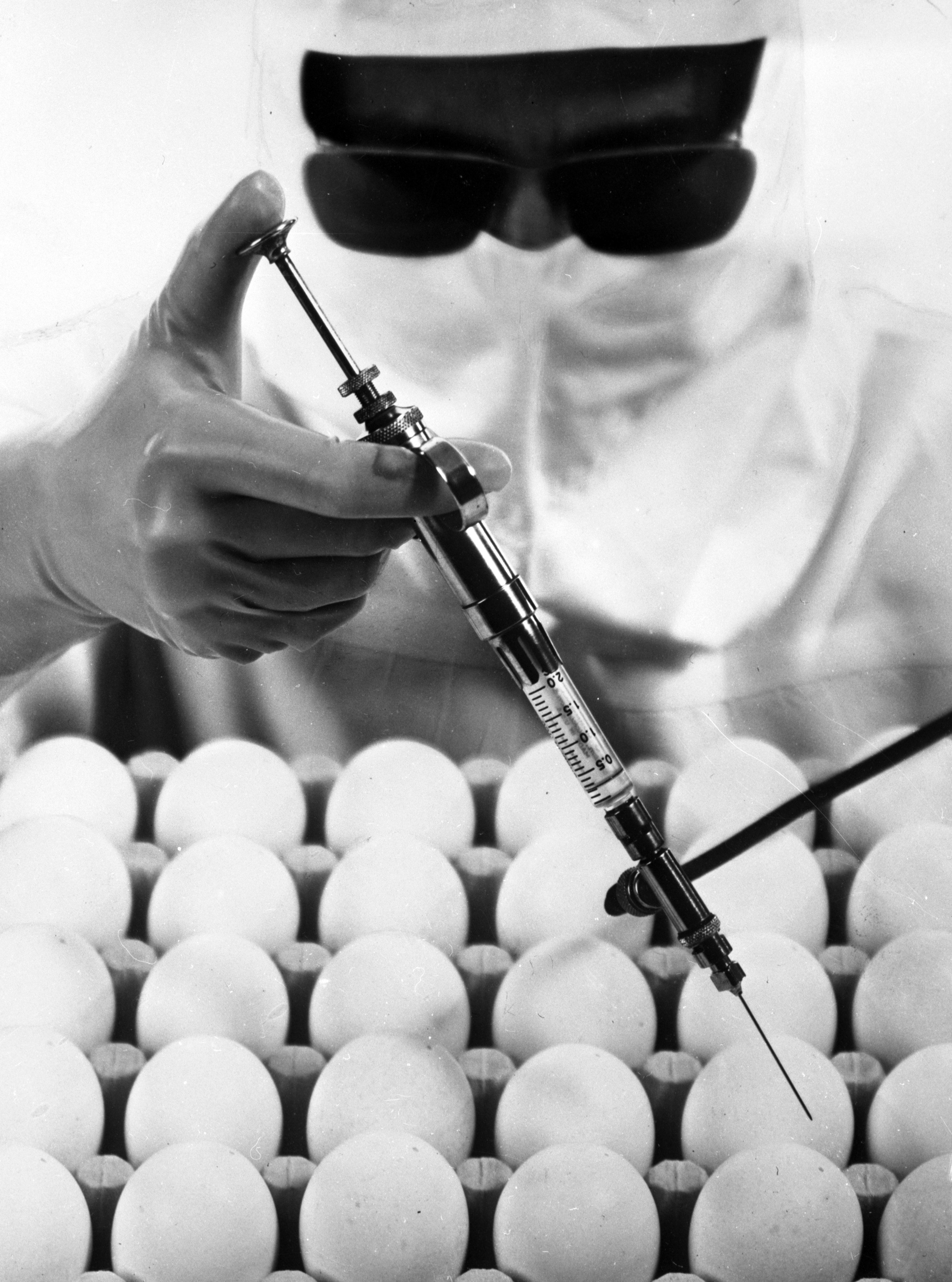 Virus - slik ble de oppdaget - smp.no